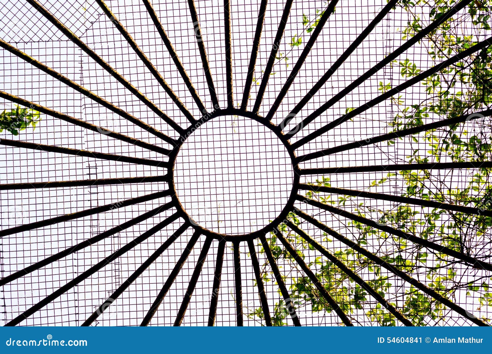 Abstract of Circle and Lines on Square Grid Stock Image - Image of ...