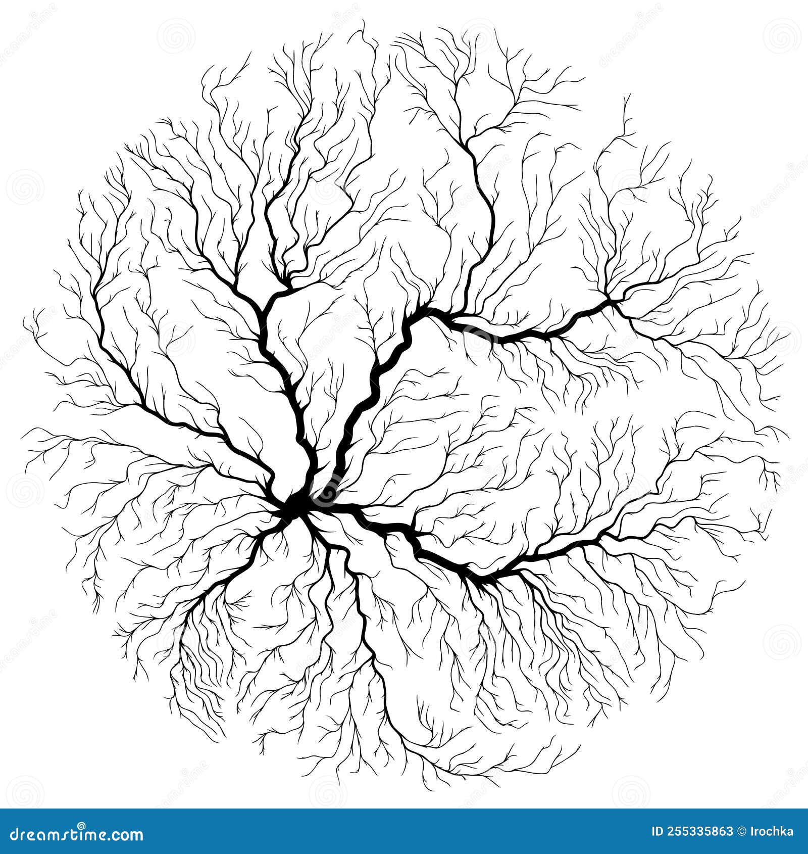 Abstract Circle Shape Illustration of Tree Roots. Stock Vector ...