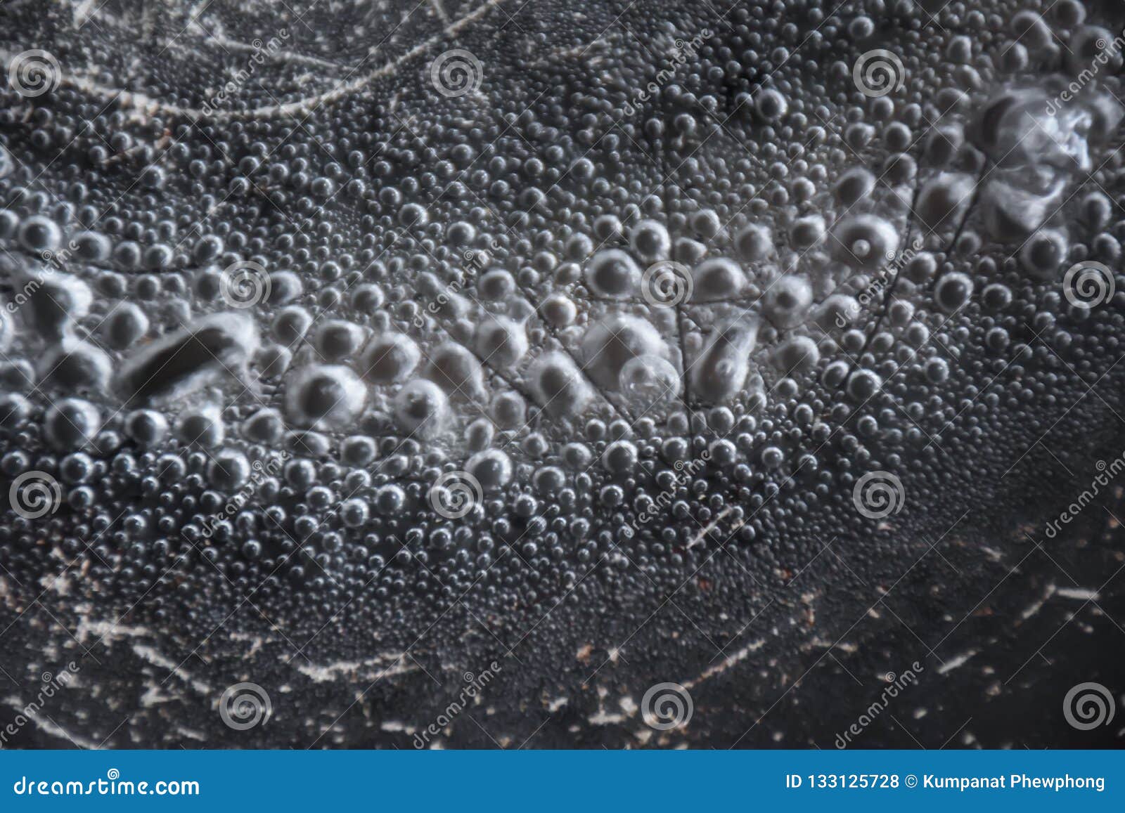 Abstract Close Up Circle Air Bubble in Boiled Water , Trypophobia ...
