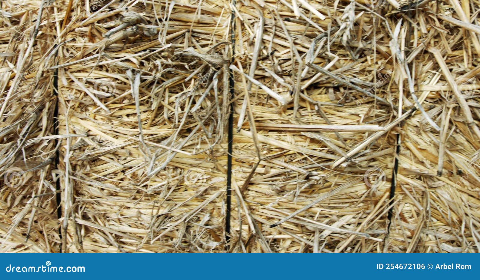 Abstract Close Up Shot of Yellow Hay Stack with Textures and Patterns ...