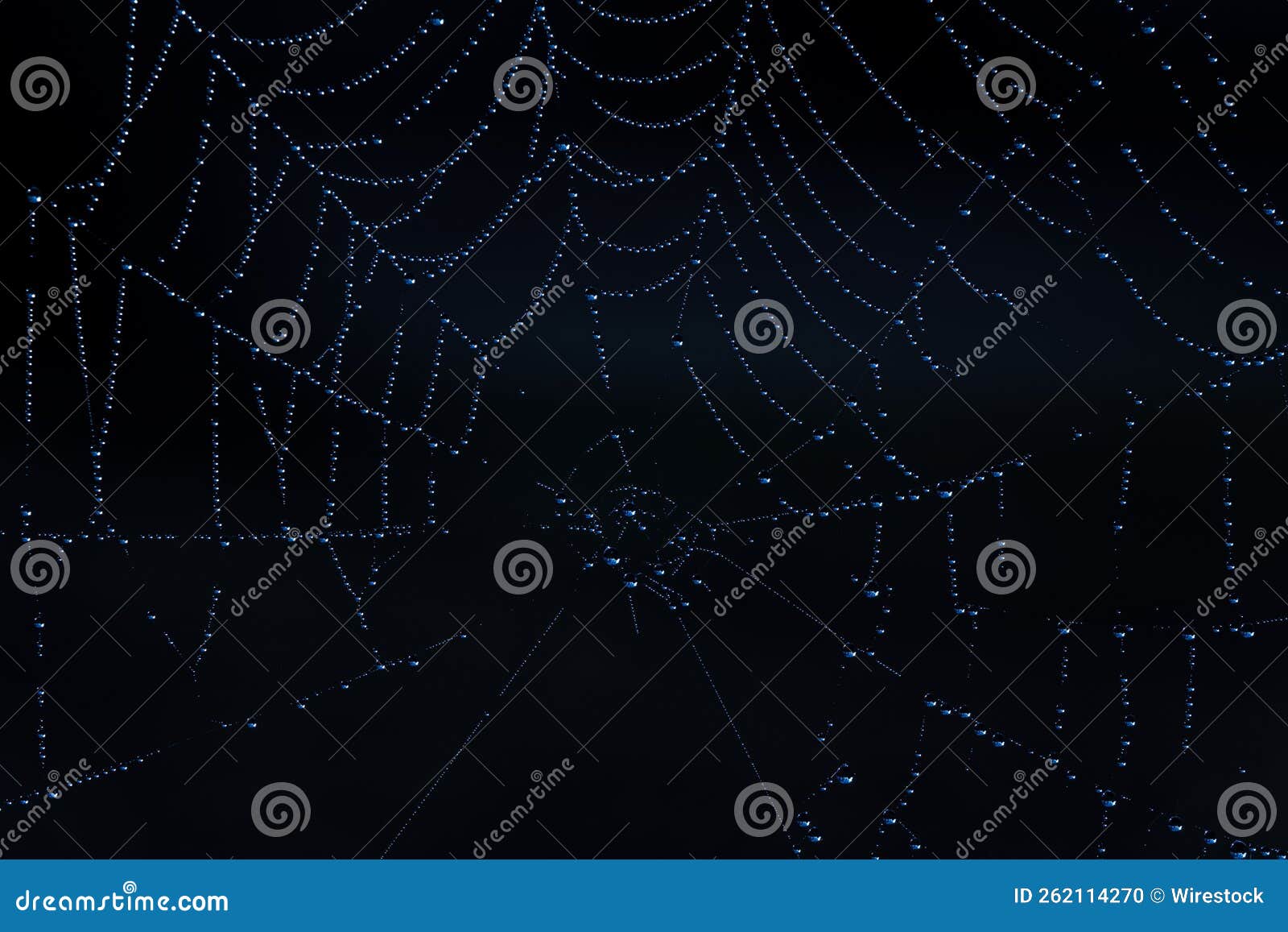 Abstract Close Up View of Spider Web Stock Photo - Image of closeup ...
