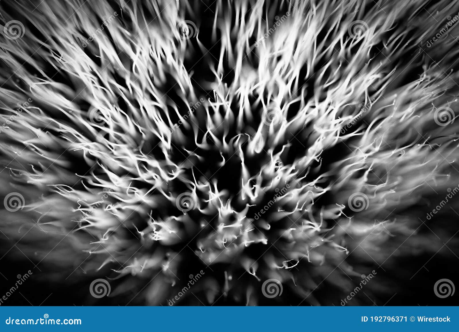 Abstract Closeup Shot of Pointy Objects Stock Image - Image of backdrop ...