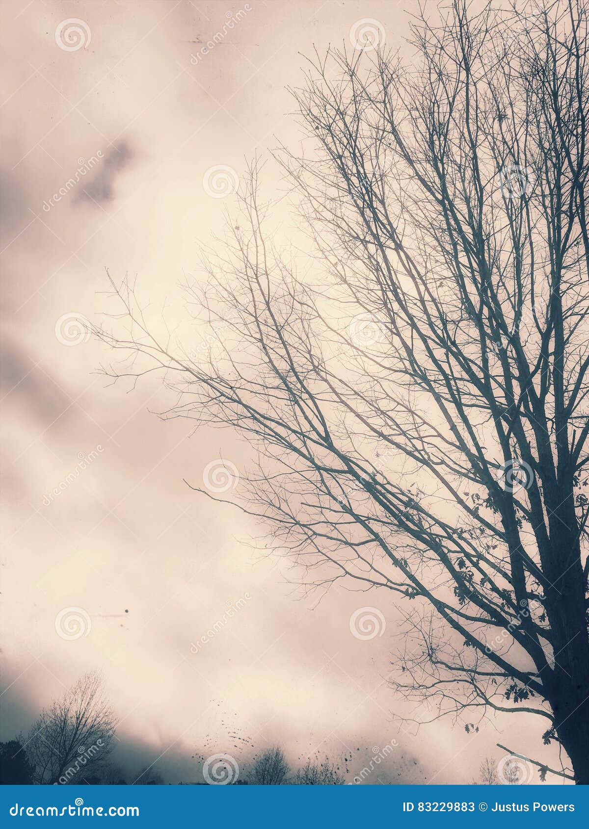 Abstract Clouds stock image. Image of cloudy, nature - 83229883
