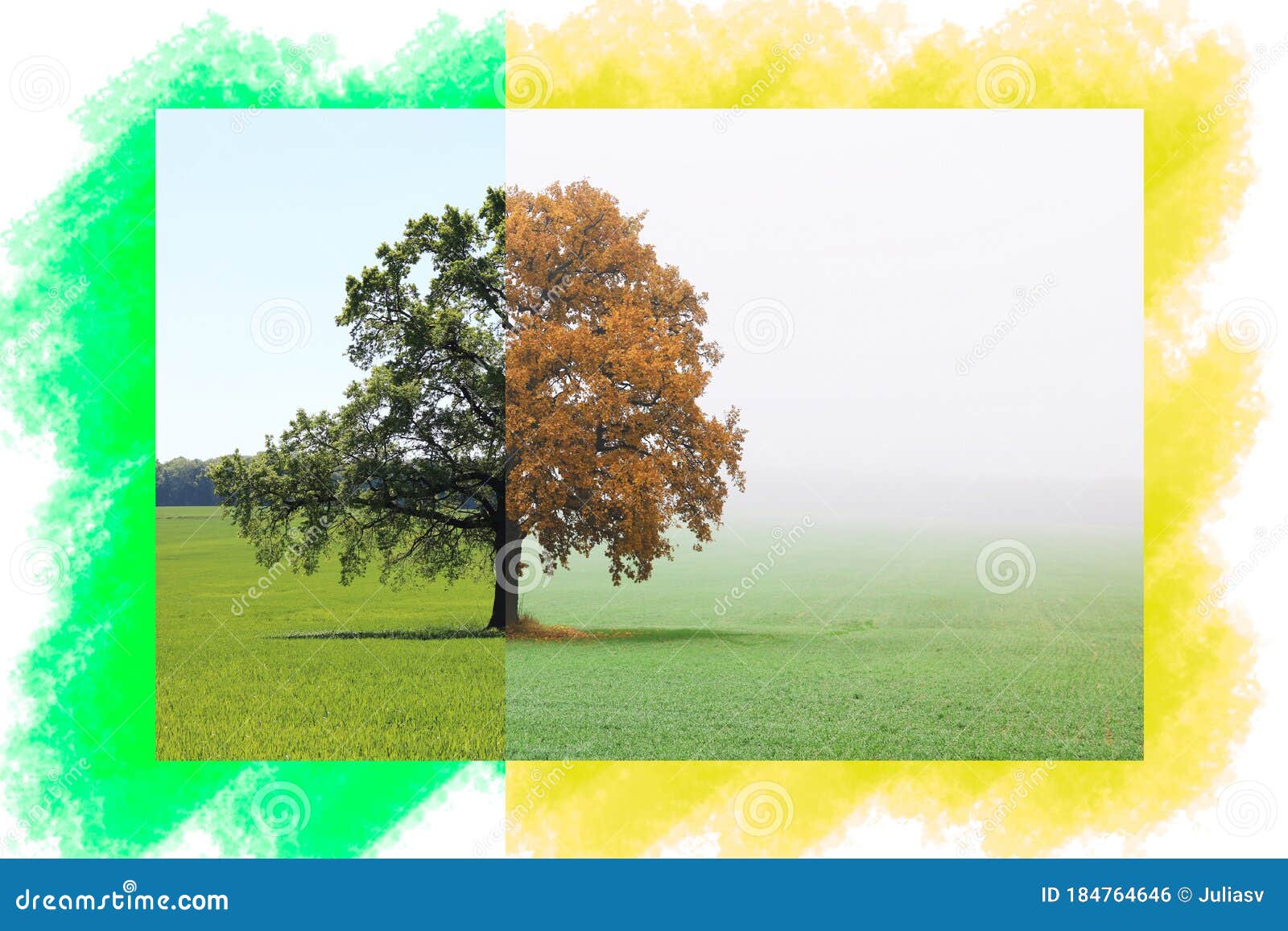 Tree Changing Over The Duration Of Four Seasons Royalty-Free ...