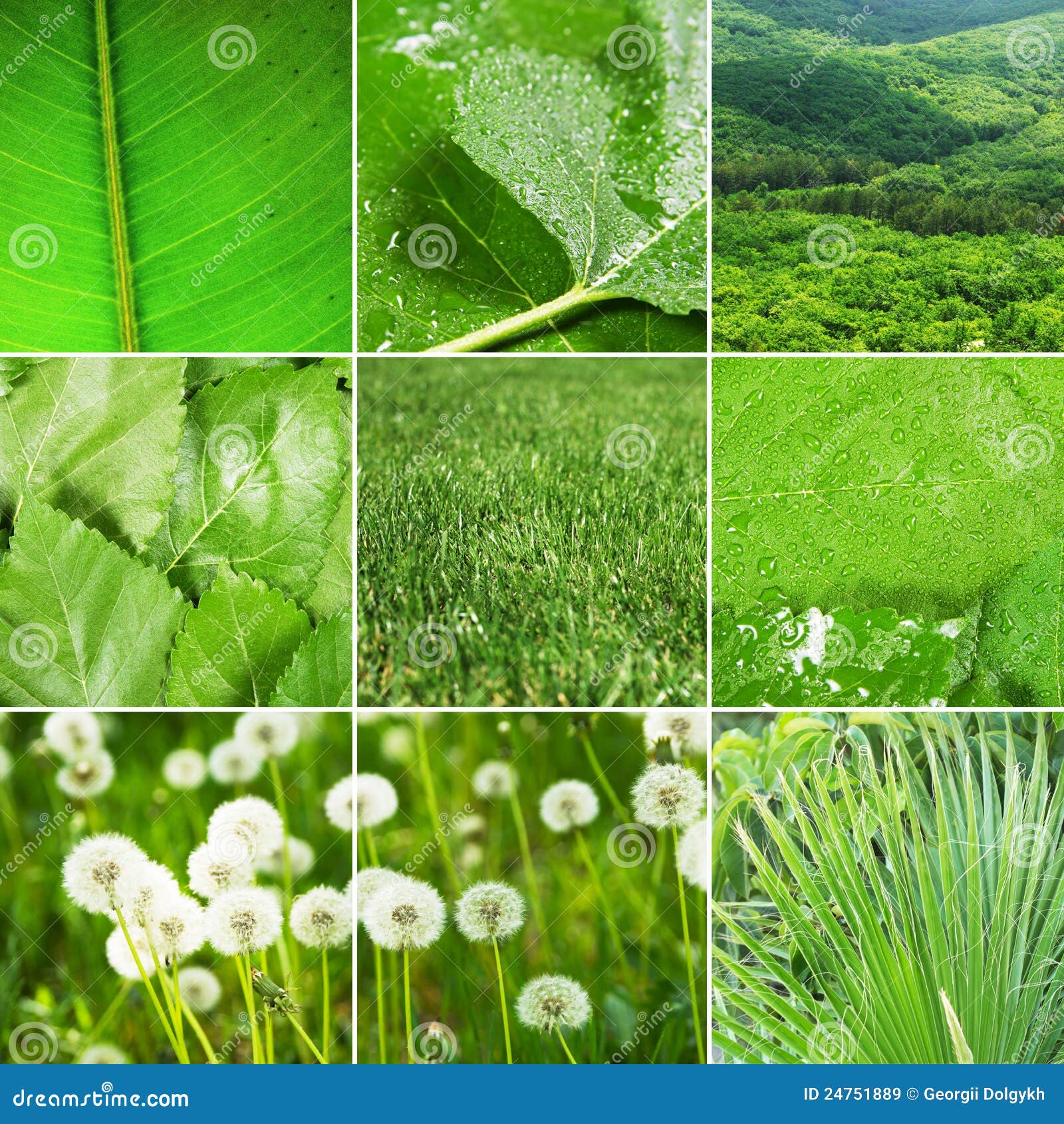 Abstract Collage of Nature Photos Stock Image - Image of season ...