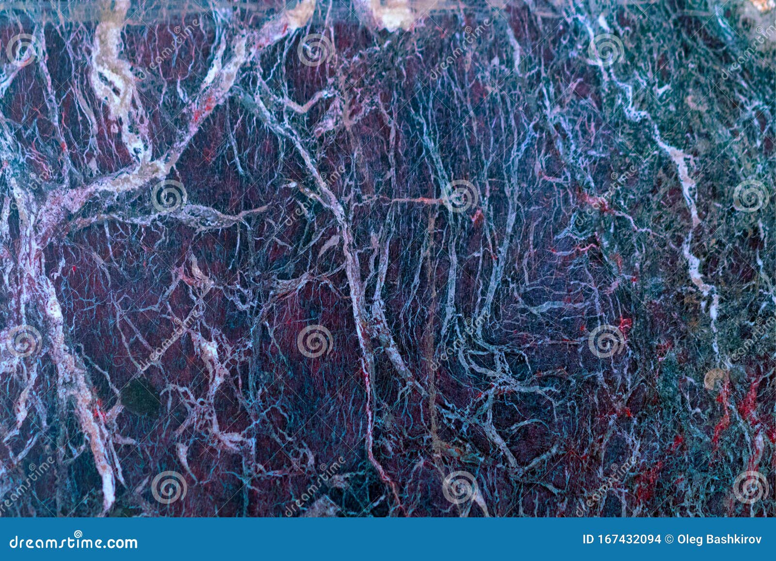 Abstract Color Blue Nature Background Stock Photo - Image of leaf ...