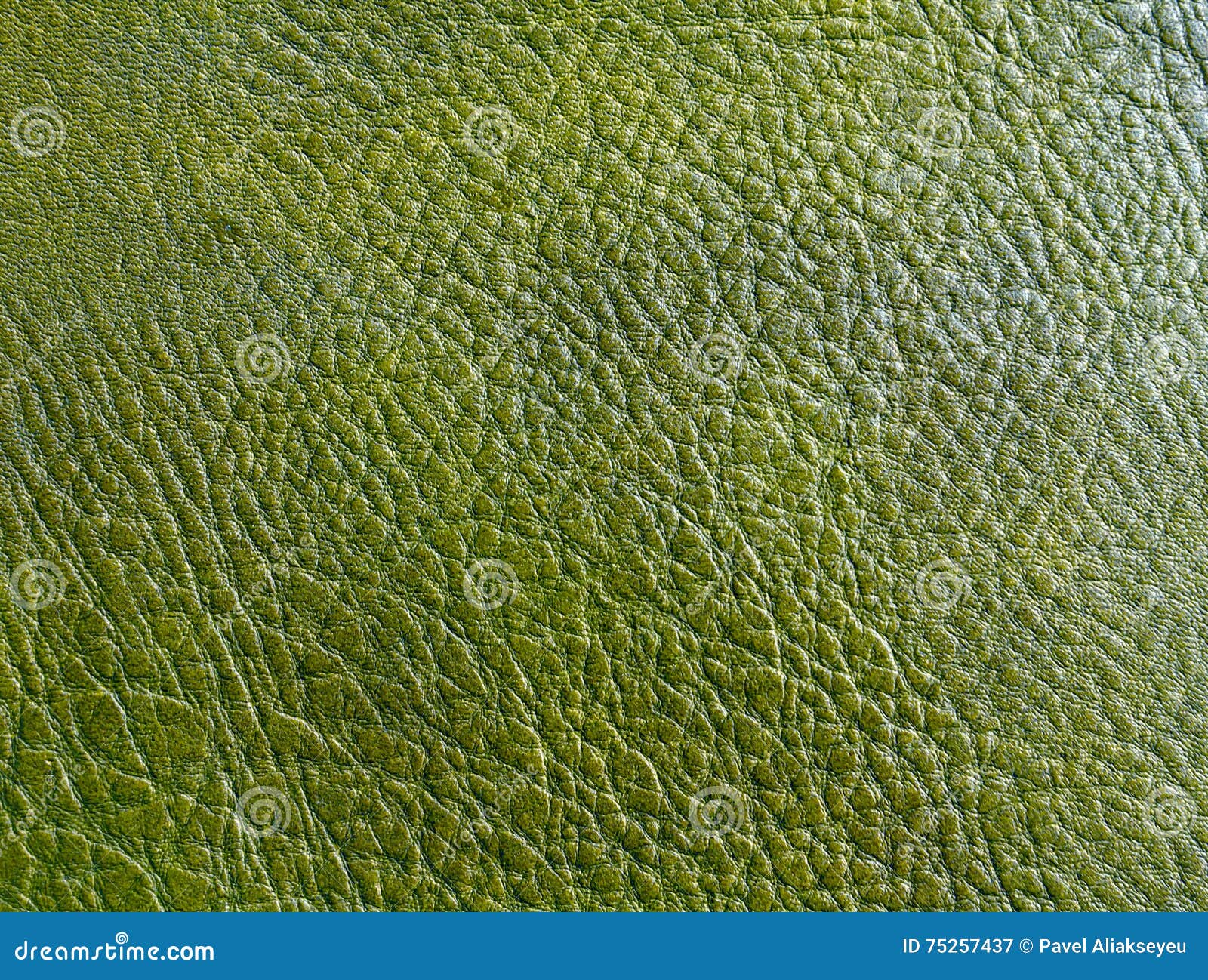 Abstract Color Leather Surface. Stock Image - Image of background ...