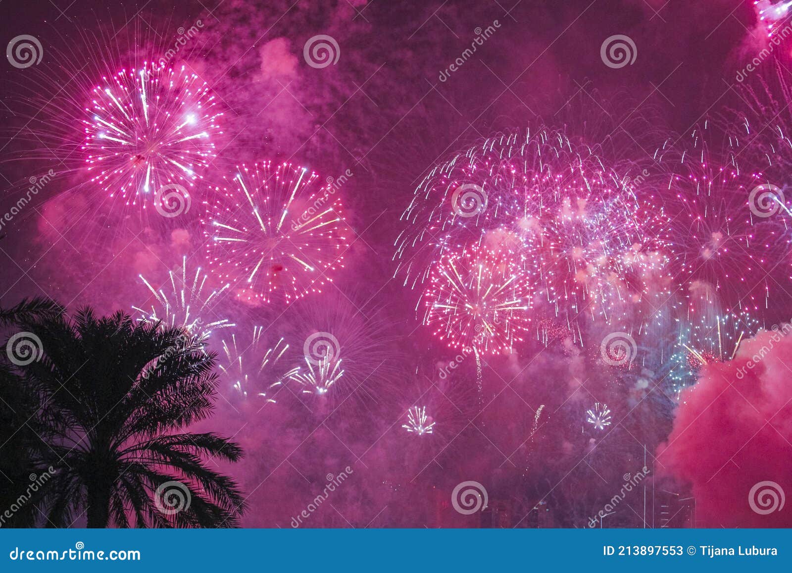 Abstract Colored Firework with Palm Trees Stock Image - Image of ...