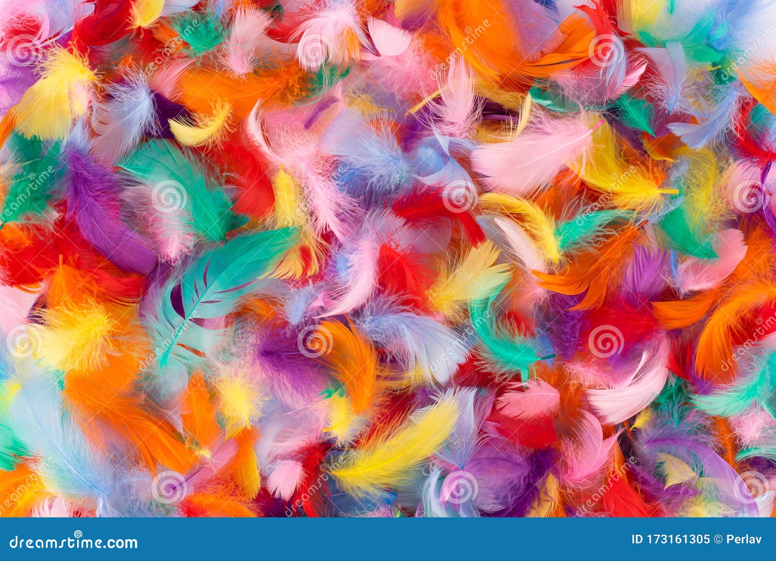 Abstract Colorful Background of Small Fluffy Feathers Stock Image ...