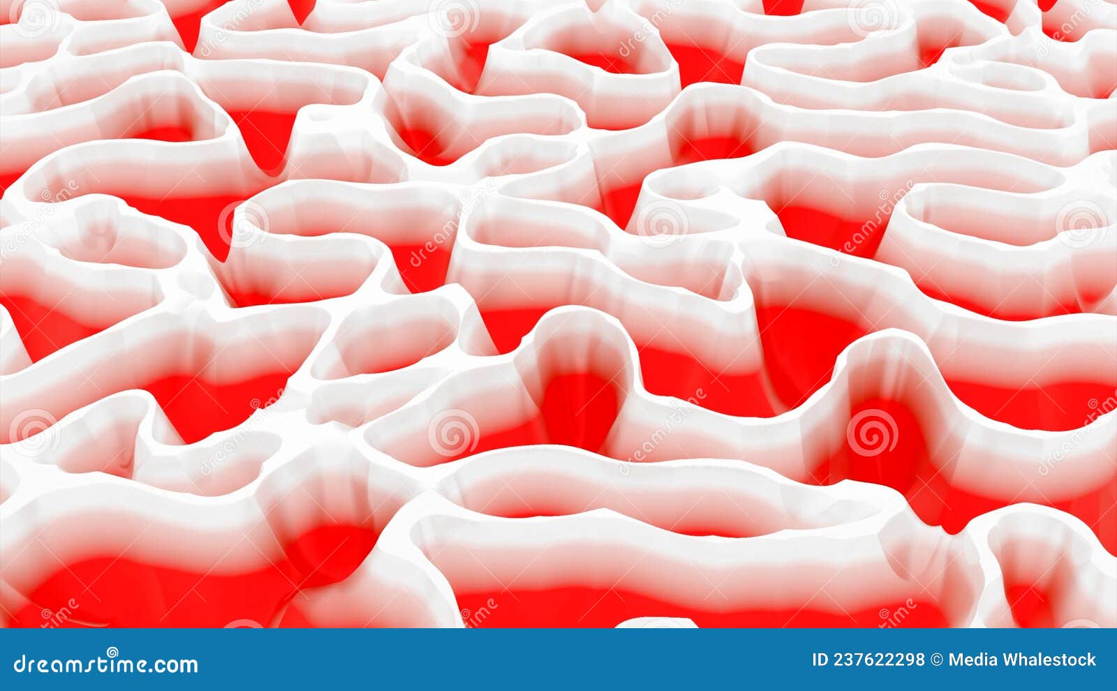 Abstract Colorful Biological Cell Division Process, Seamless Loop ...