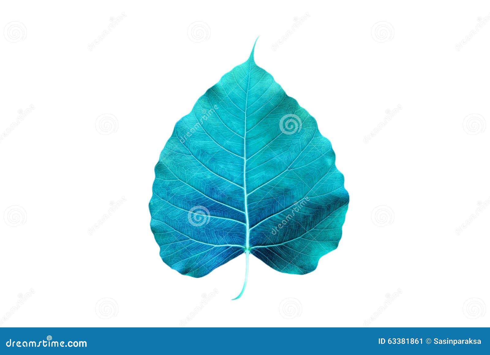 Abstract Colorful Blue Leaf, Isolated on White Background Stock Image ...