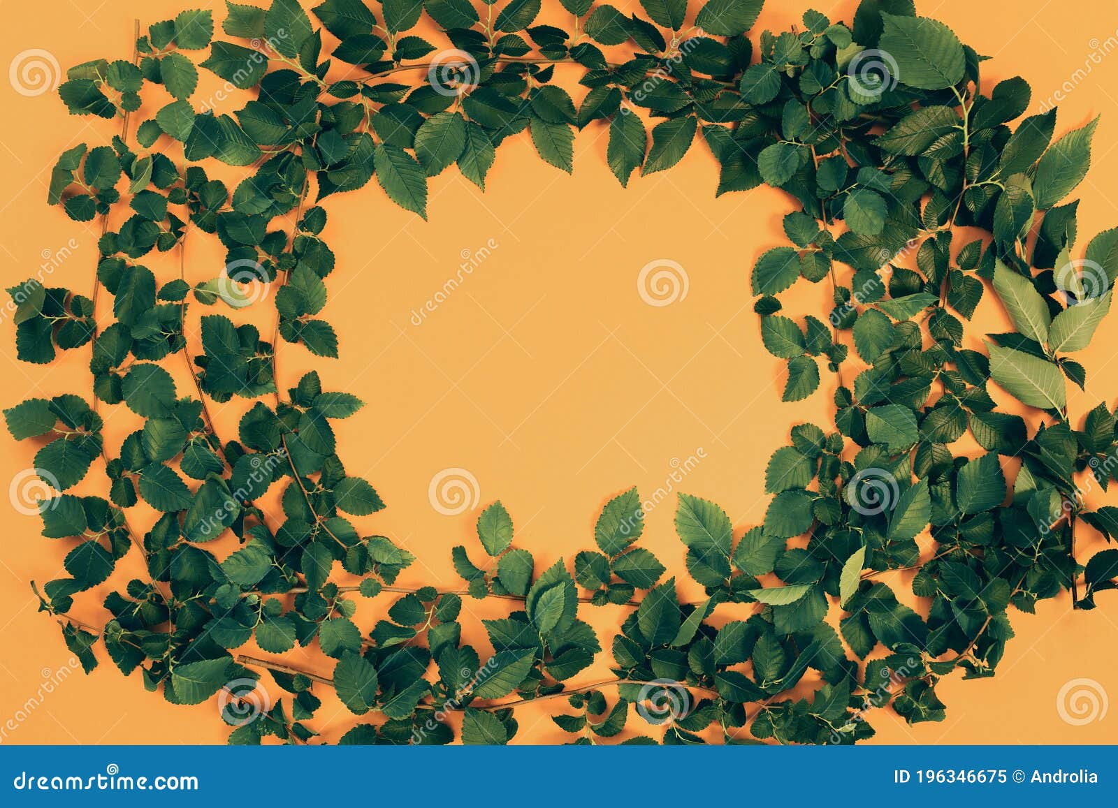 Abstract Composition with Leaves Lying As a Frame. Creative Nature ...