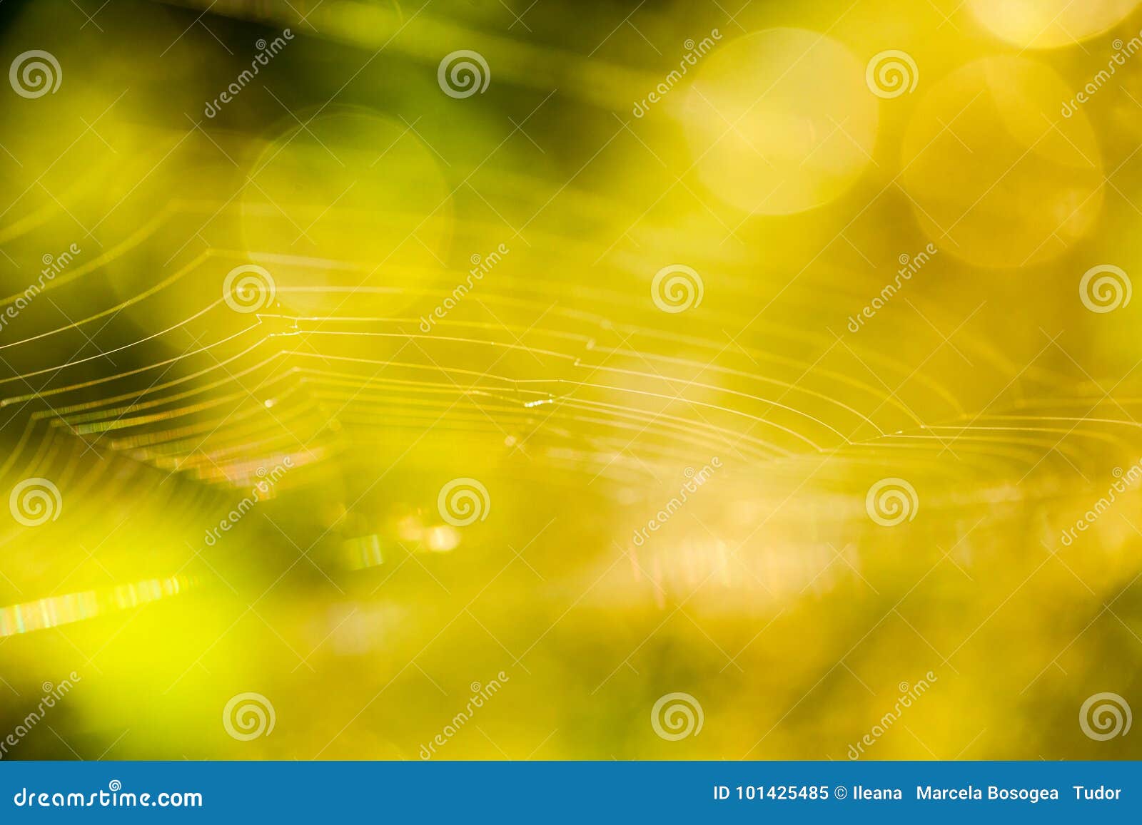 Abstract Composition with Spider Web Details Stock Image - Image of ...