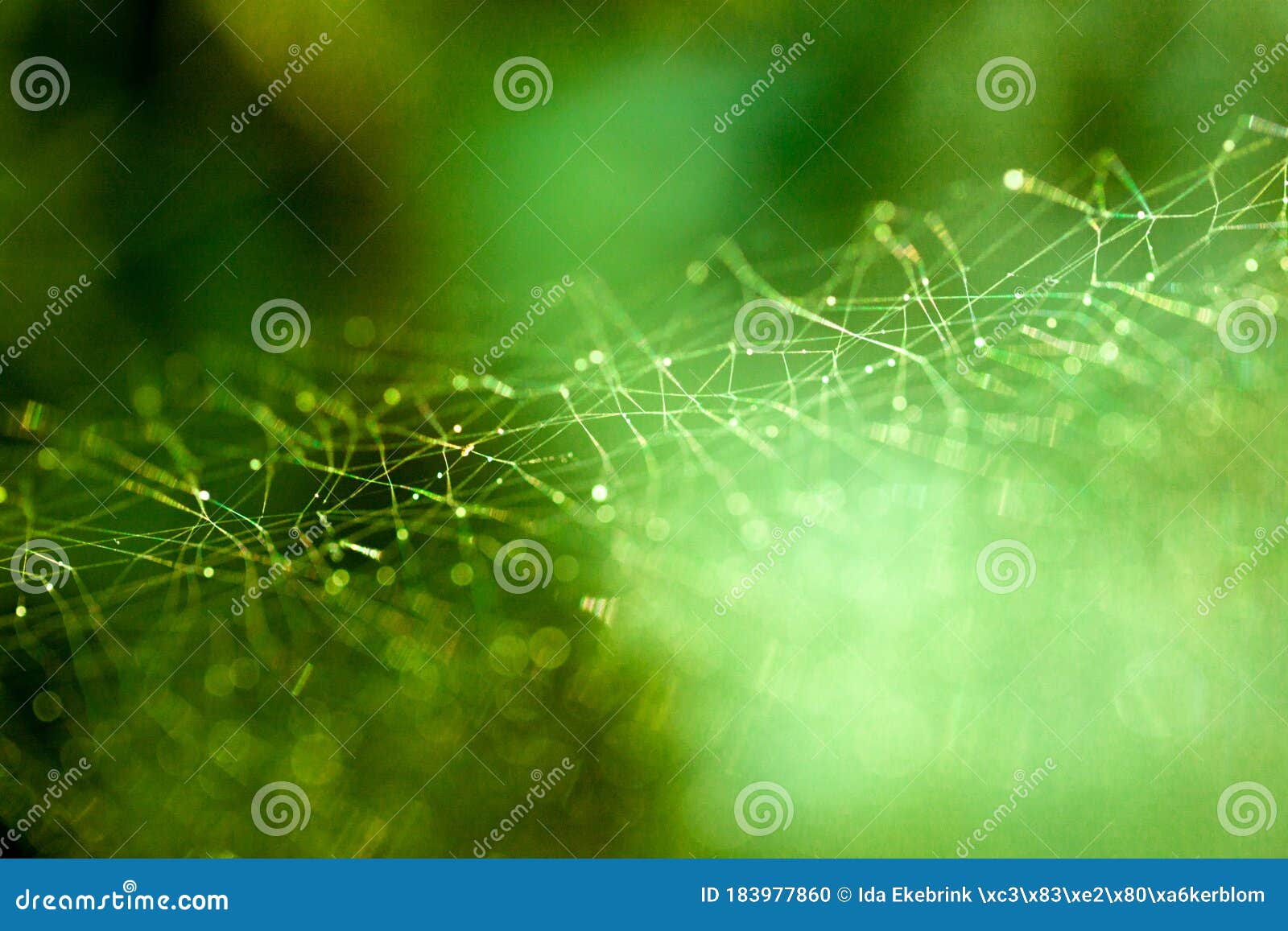 Abstract Connected Dots on Green Background - Connection Technology ...