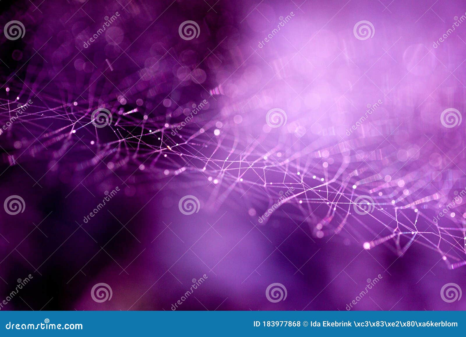Abstract Connected Dots on Purple - Connection Technology Concept Stock ...