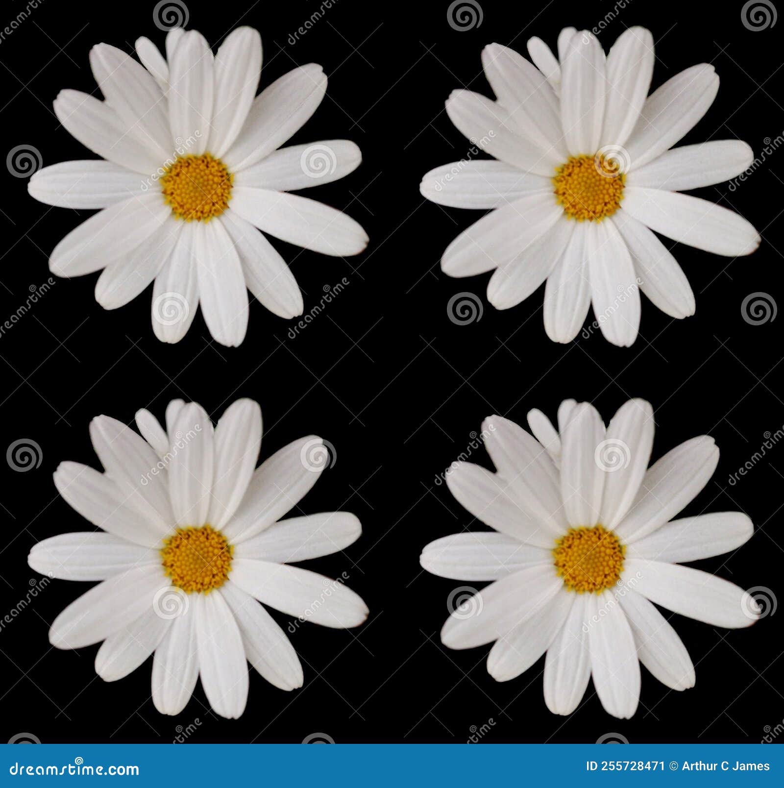 Abstract and Contemporary Digital Art Floral Design Pattern Design ...