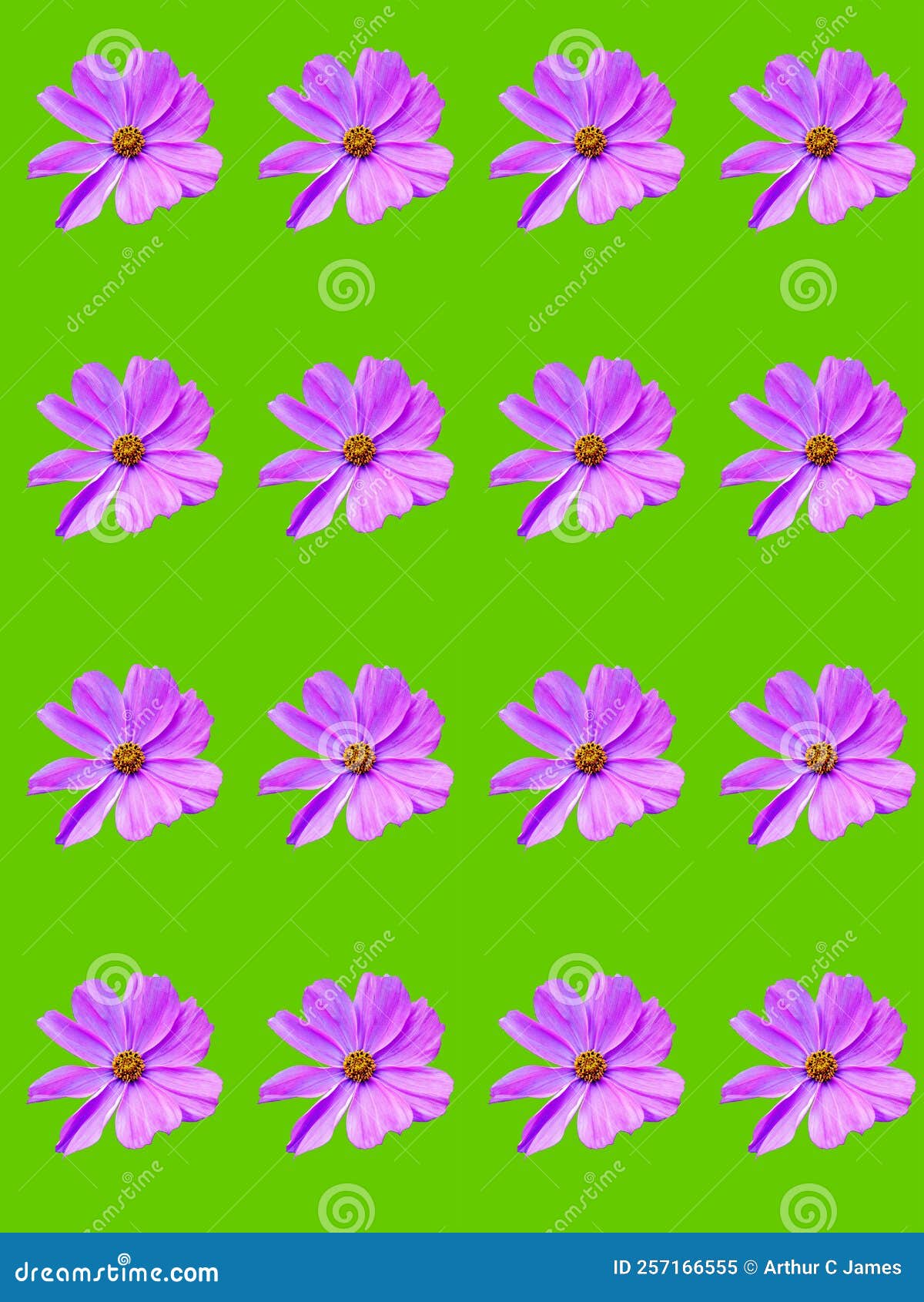 Abstract and Contemporary Floral Digital Wrapping Paper Pattern Design ...