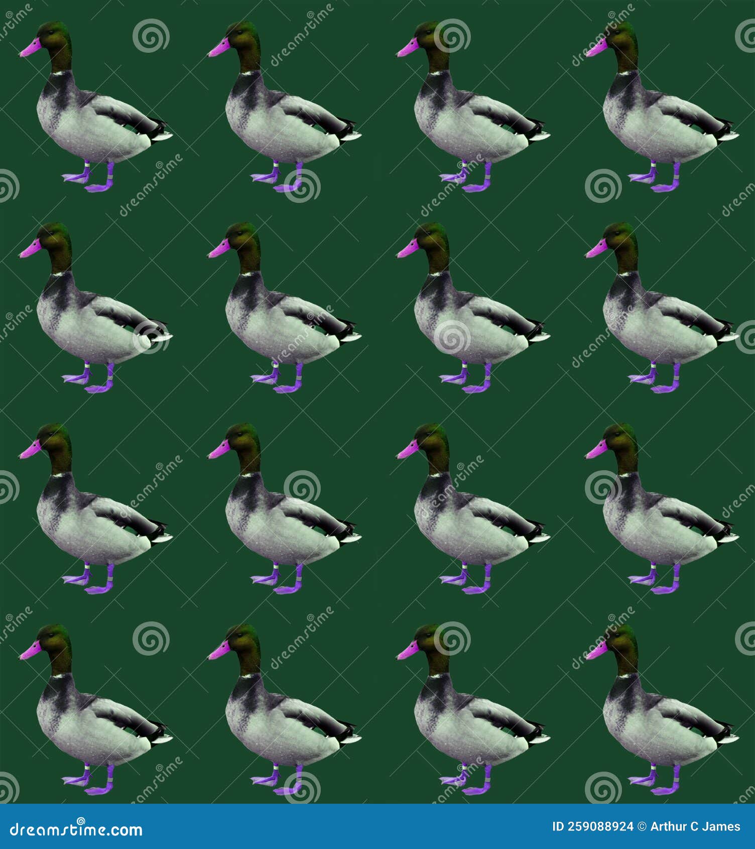 Abstract and Contemporary Retro Duck Greeting Card Design Stock Photo ...