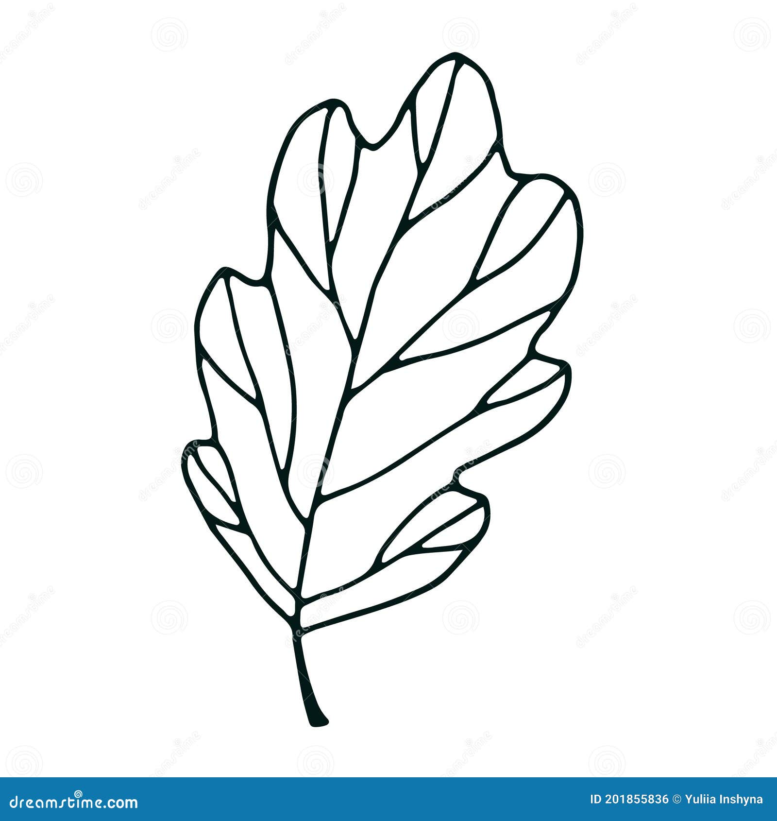 Abstract Contour Leaf Isolated on White Stock Vector - Illustration of ...