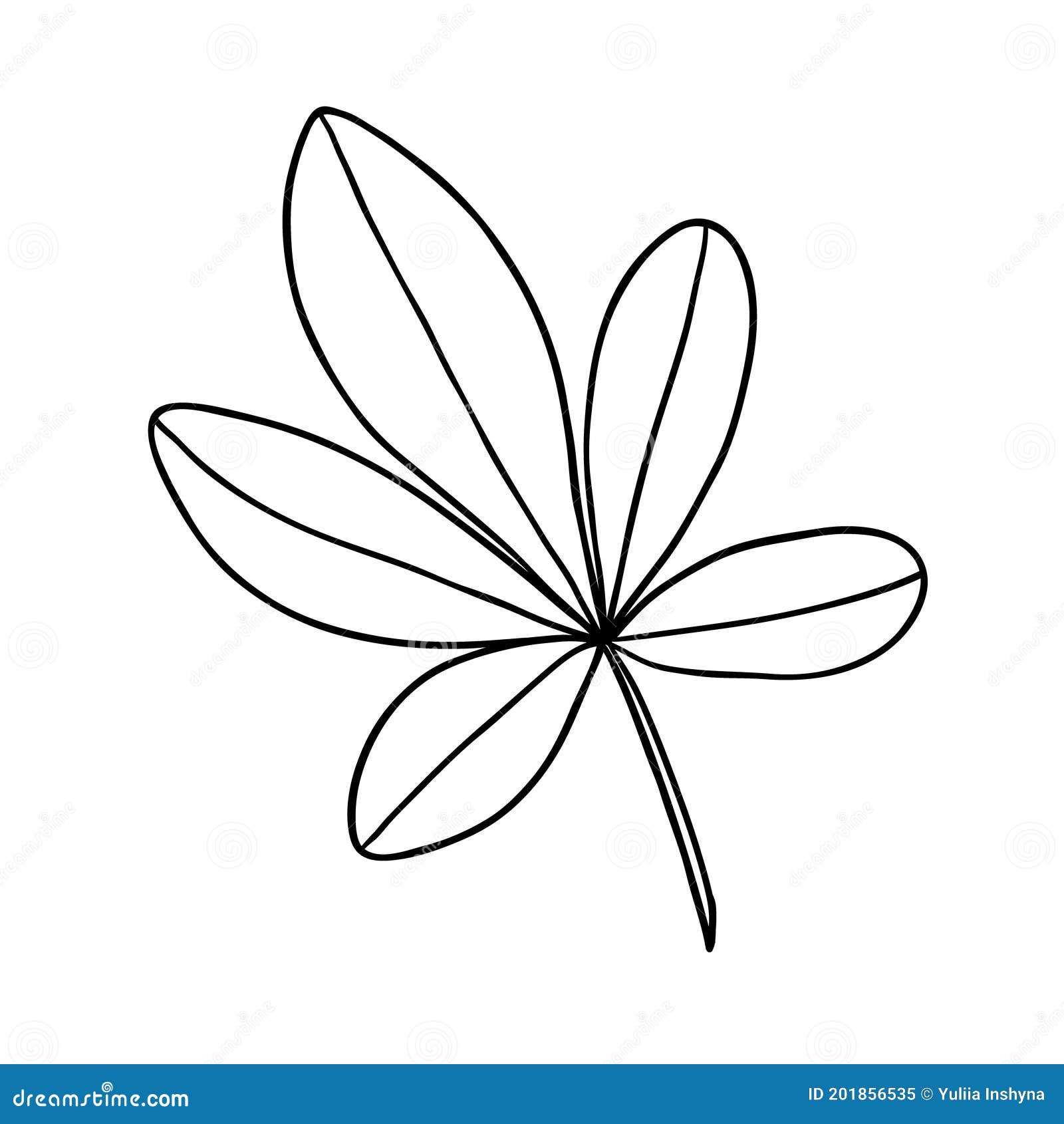 Abstract Contour Leaf Isolated on White Stock Vector - Illustration of ...