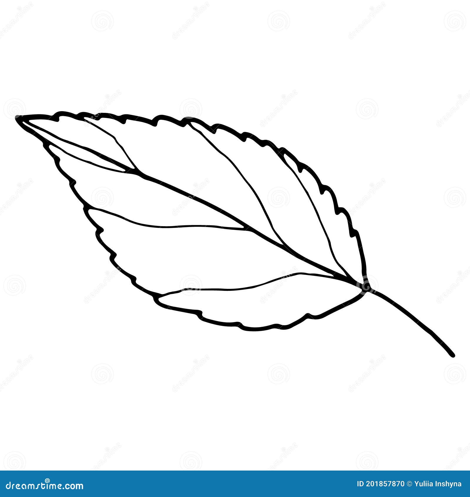 Abstract Contour Leaf Isolated Stock Vector - Illustration of isolated ...