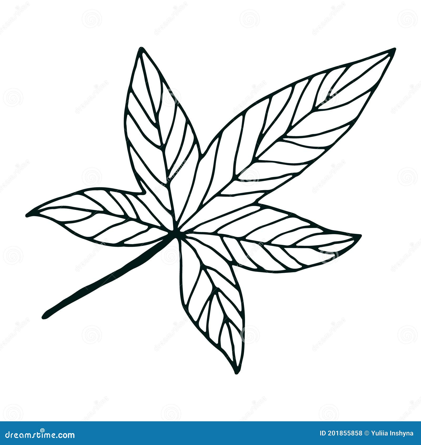 Abstract Contour Leaf Isolated on White Stock Vector - Illustration of ...