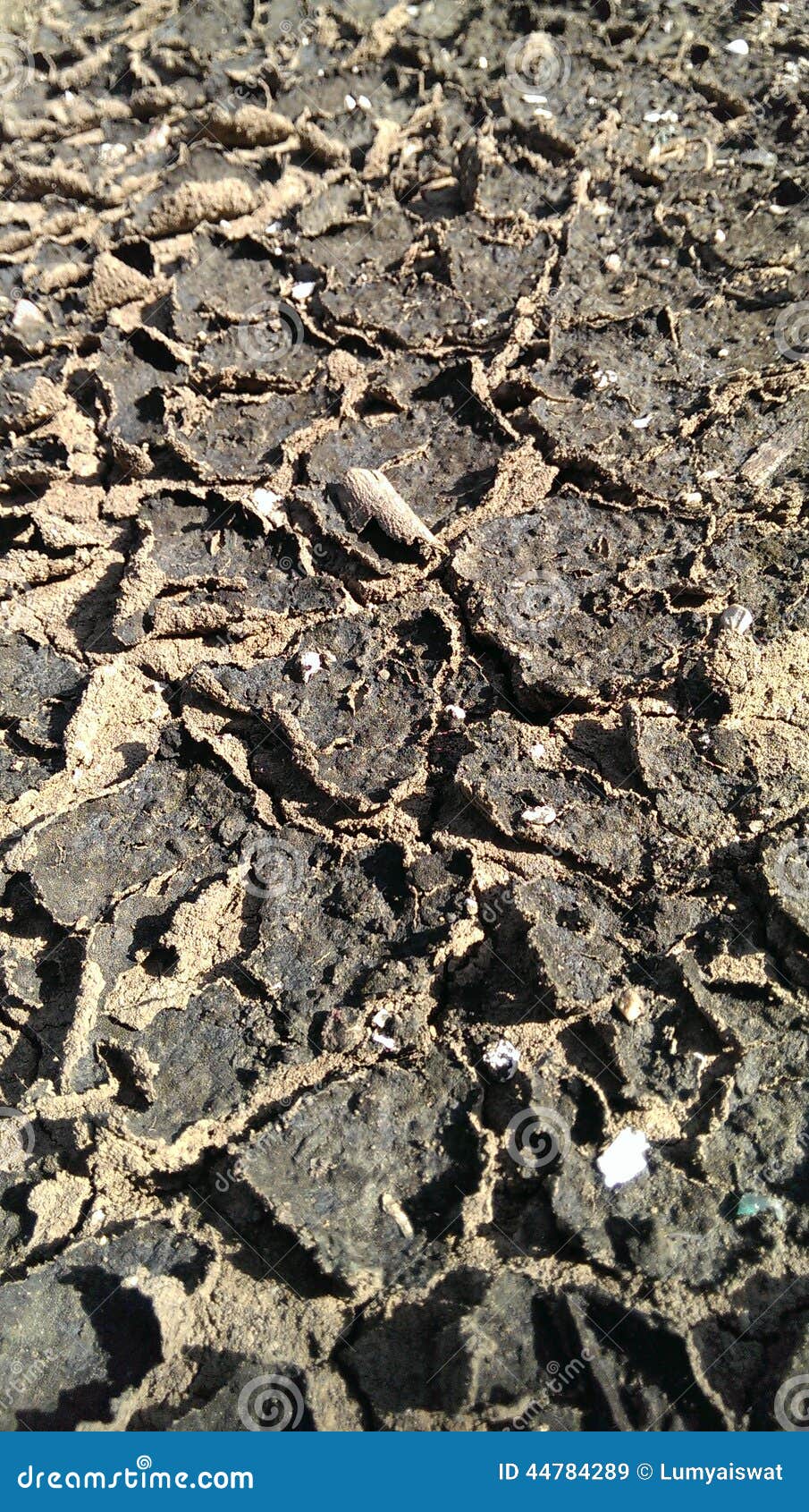 Abstract Crack Cracked Dirt Earth Ground Land Nature Pattern Editorial ...