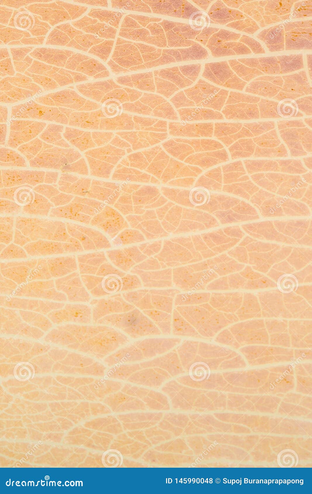 Abstract Cracked Pattern on Dry Plastic Surface Texture.Cracking ...