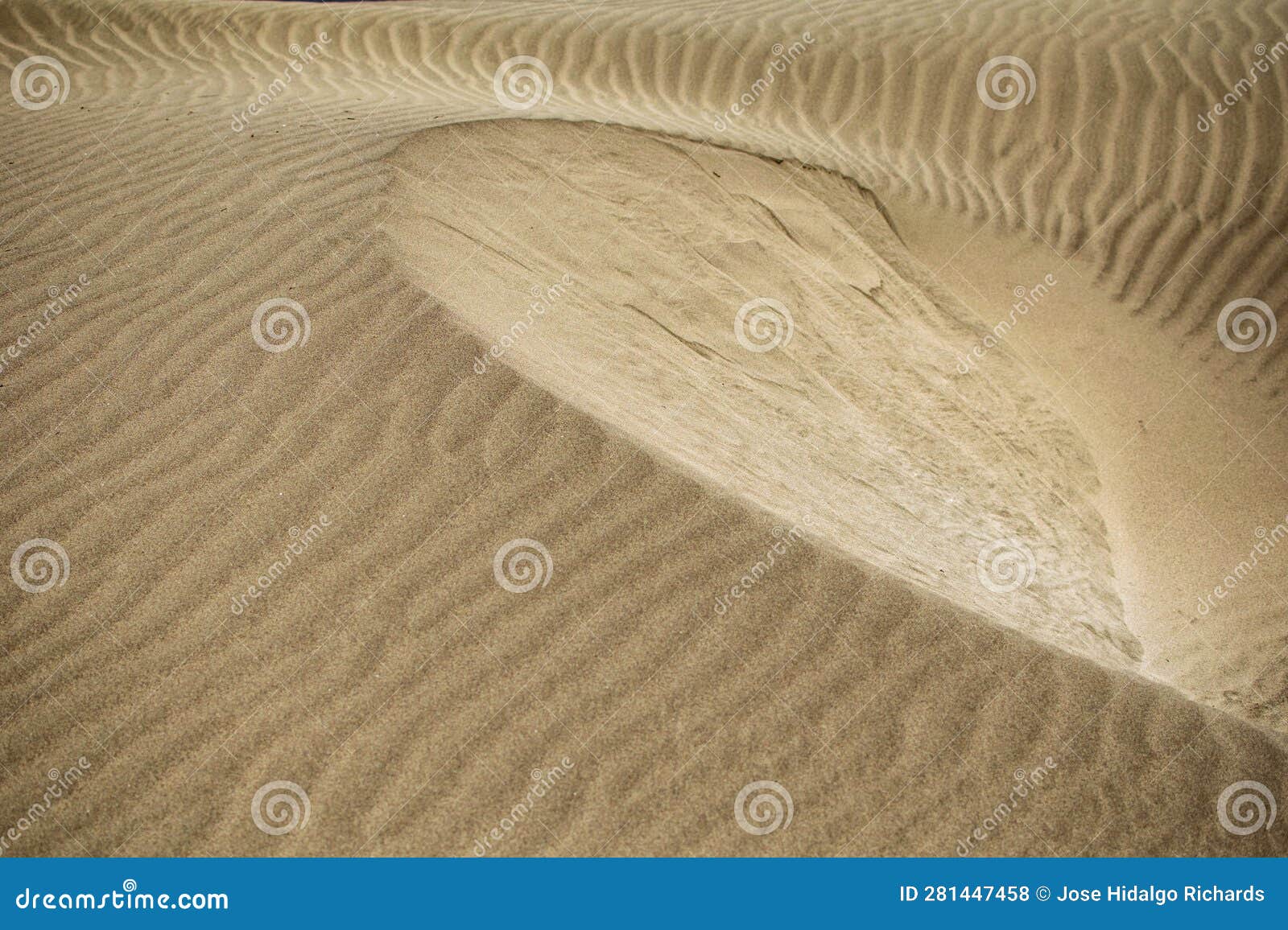 Abstract Sand Patterns in Sand Dunes. Stock Photo - Image of cresent ...