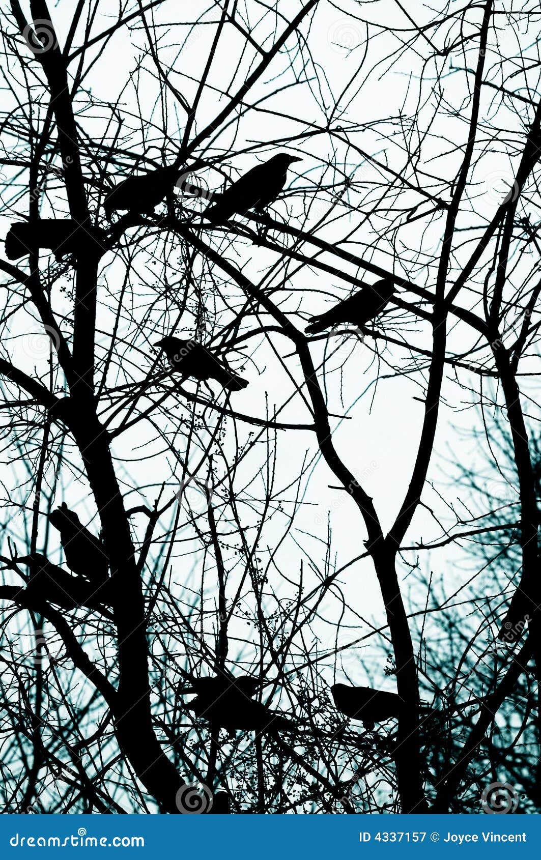 Abstract Crows Background stock image. Image of cyan, blue - 4337157