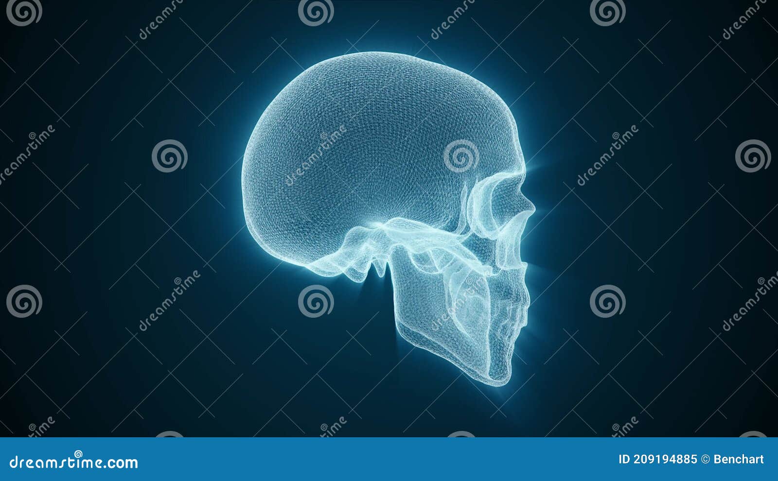 Abstract 3d Digital Skull Wireframe Textured Loop Stock Video - Video ...