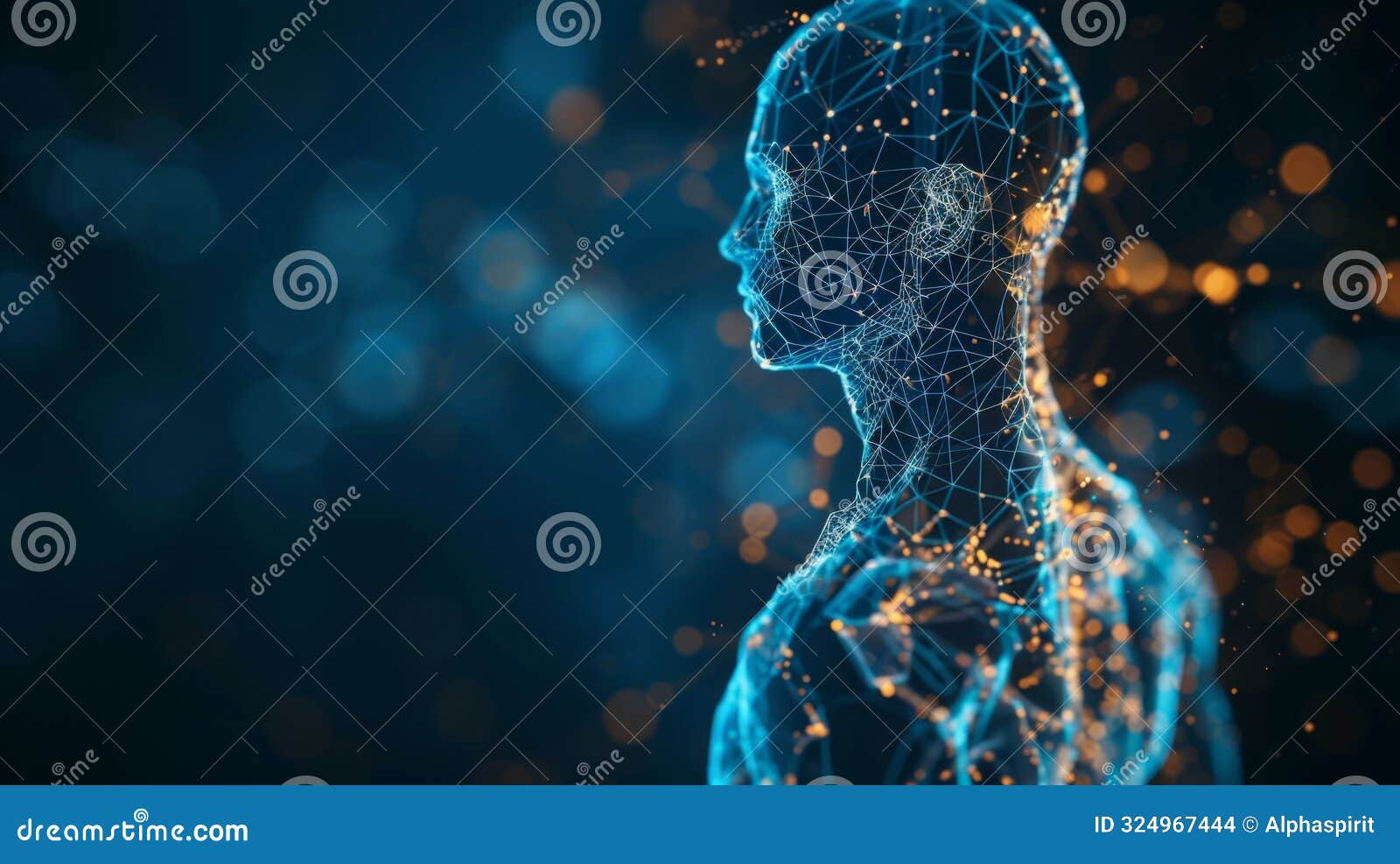 Glowing Hologram of Human Body 3d Structure Forming from Light ...