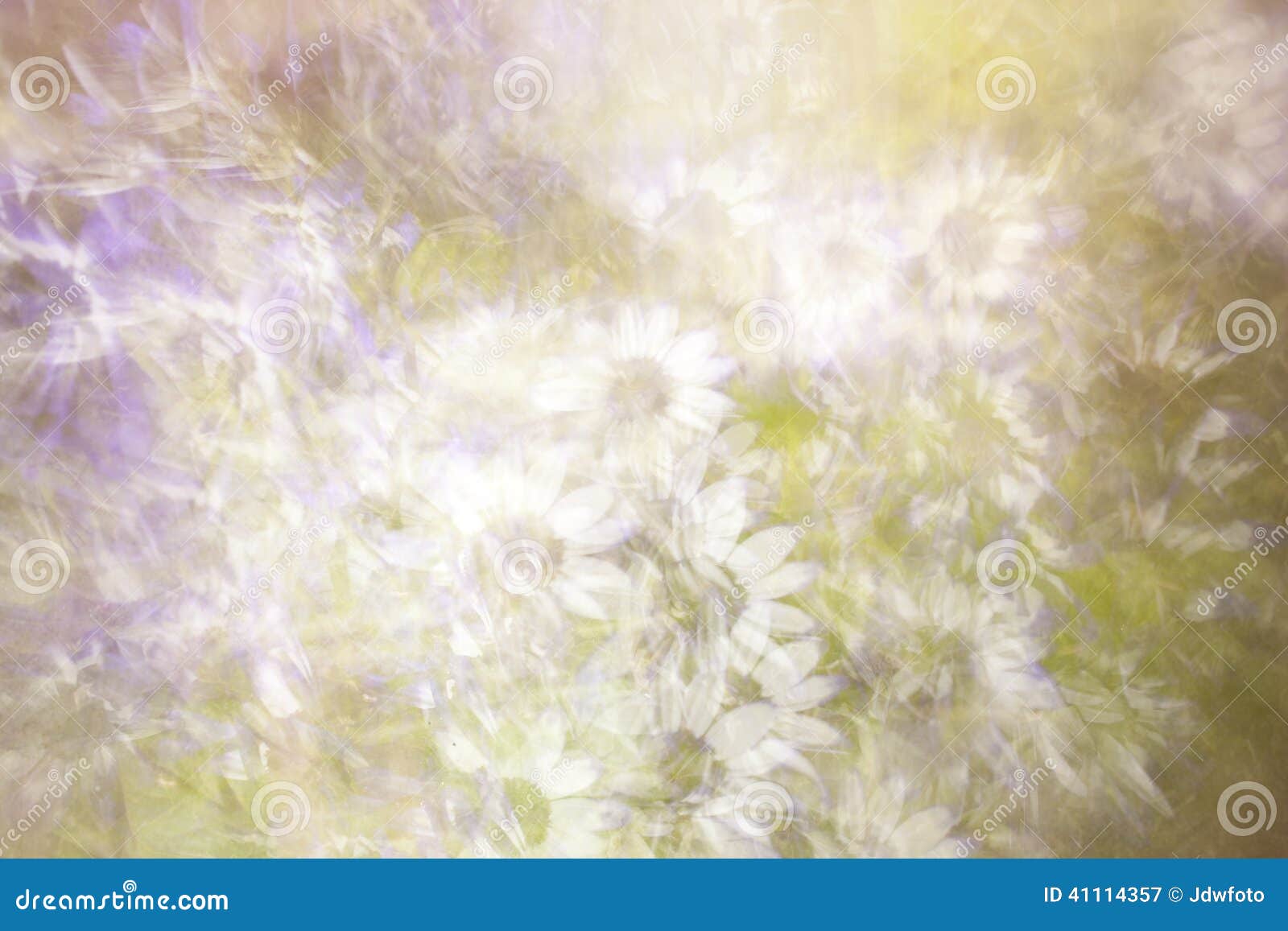 Abstract Daisy Floral Background Stock Illustration - Illustration of ...