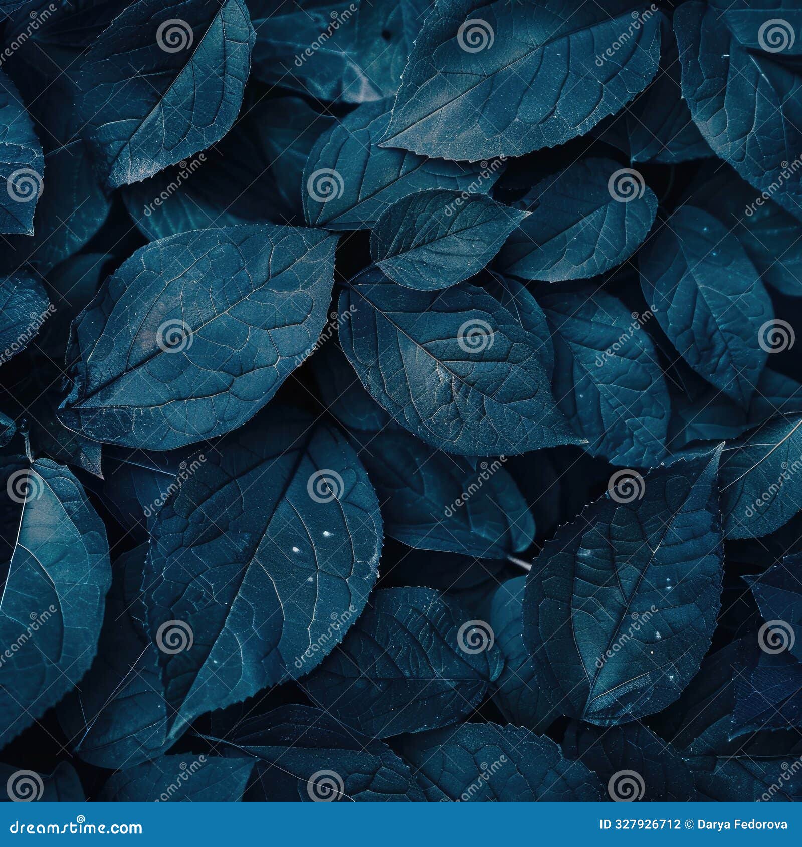 Abstract Dark Blue Leaf Background - Nature, Texture, Close-Up, Foliage ...