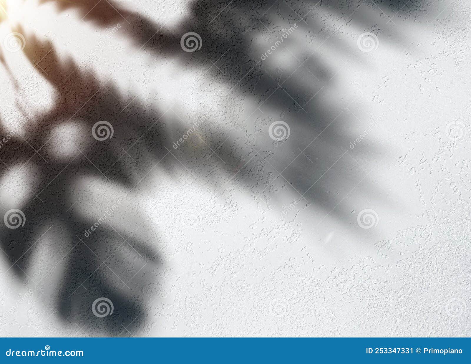 Abstract Dark Leaves Shadow on White Wall Background Stock Image ...