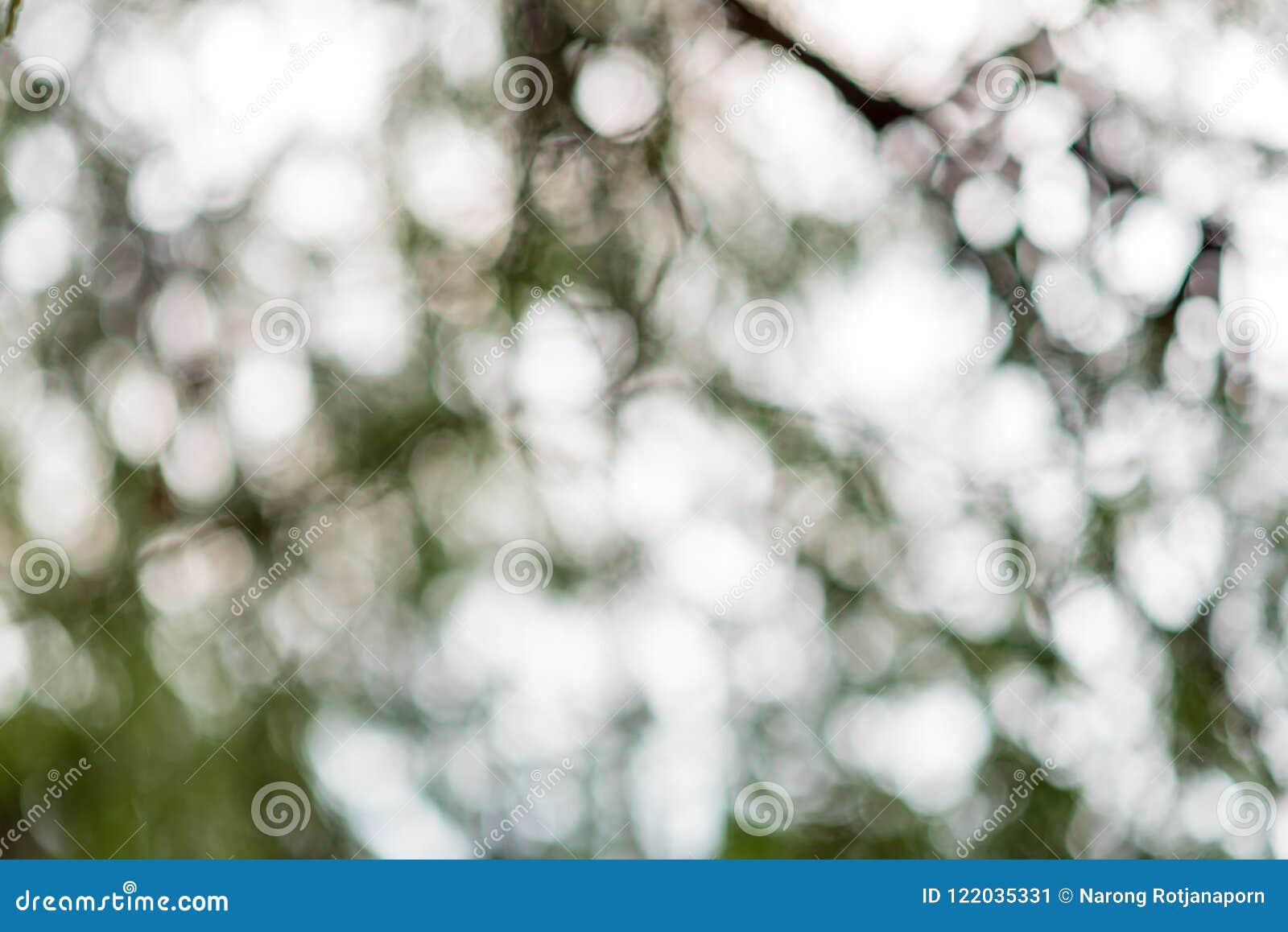 Abstract,Dark Night Tree Background. Beautiful Wallpaper. Stock Image ...