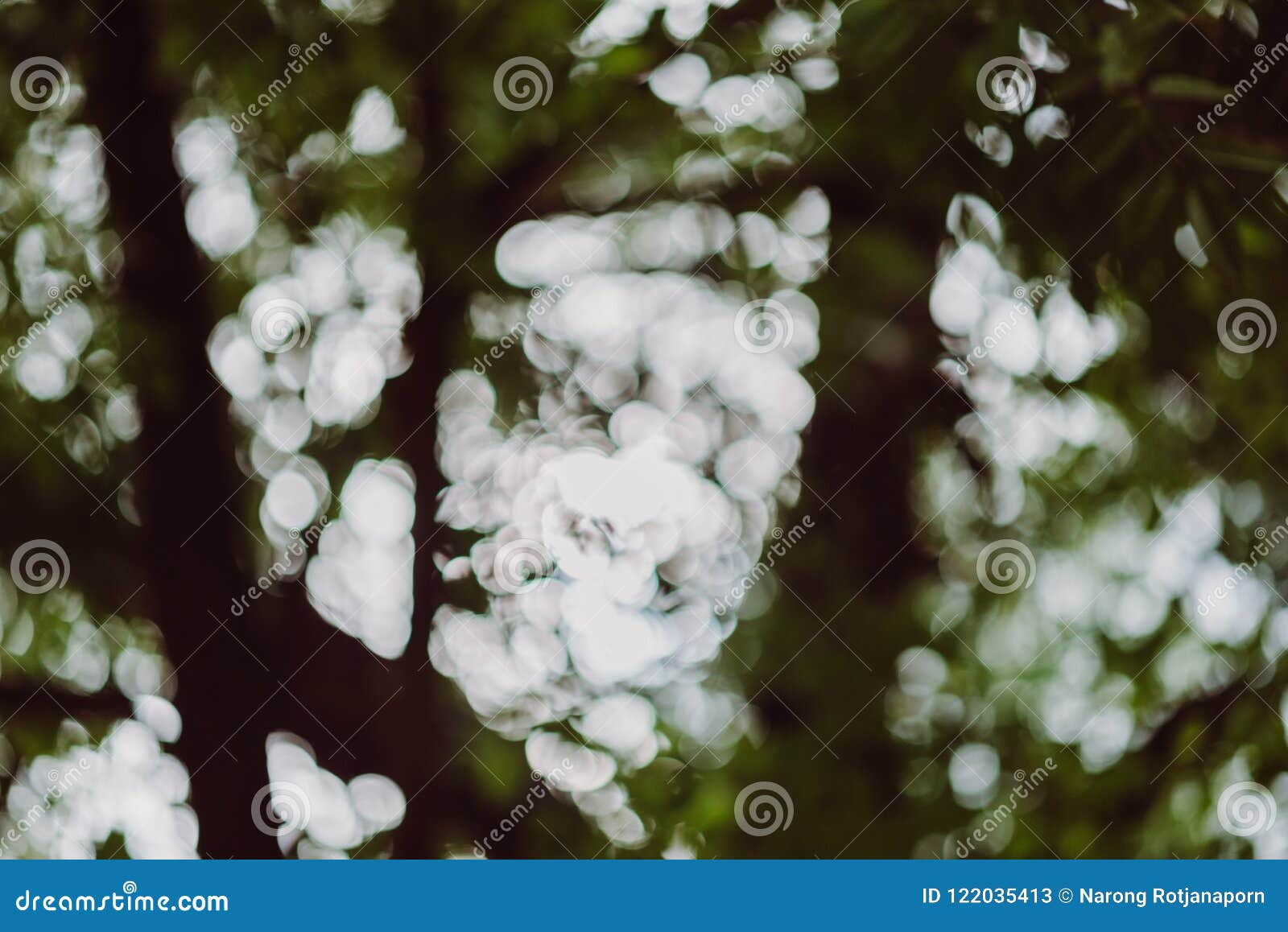 Abstract,Dark Night Tree Background. Beautiful Wallpaper. Stock Image ...