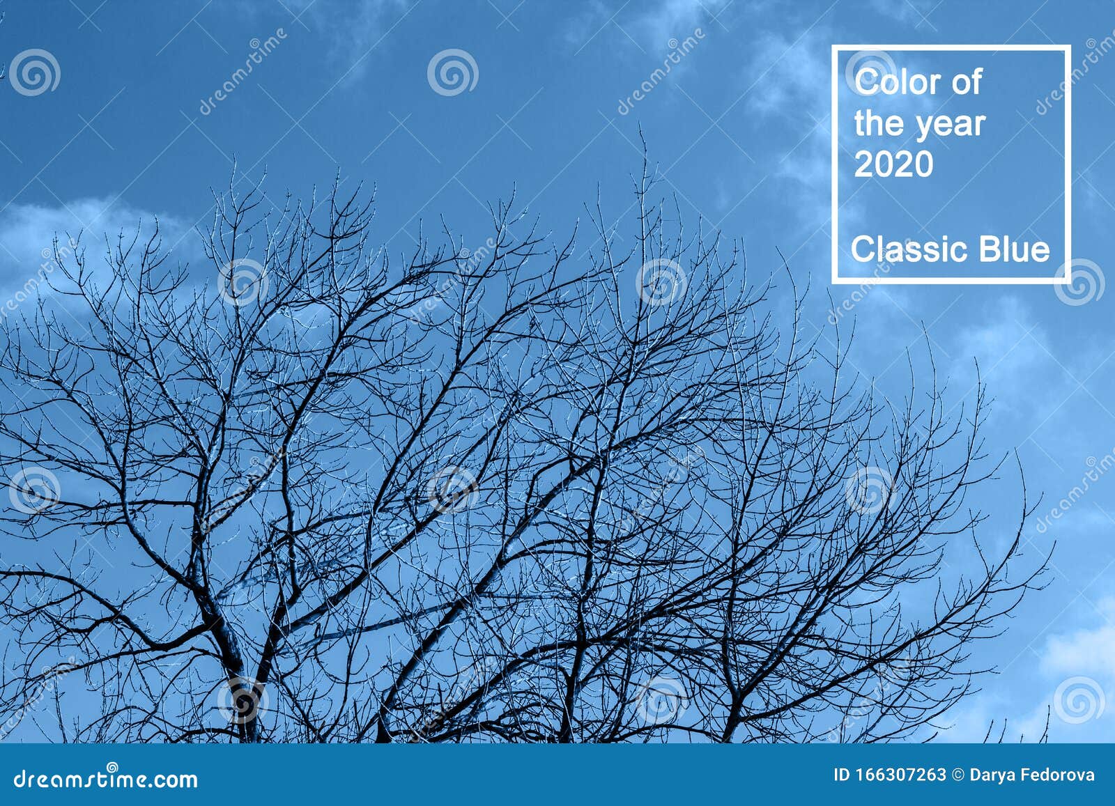 Abstract Dead Tree with Blue Sky in Classic Blue Trendy Color ...