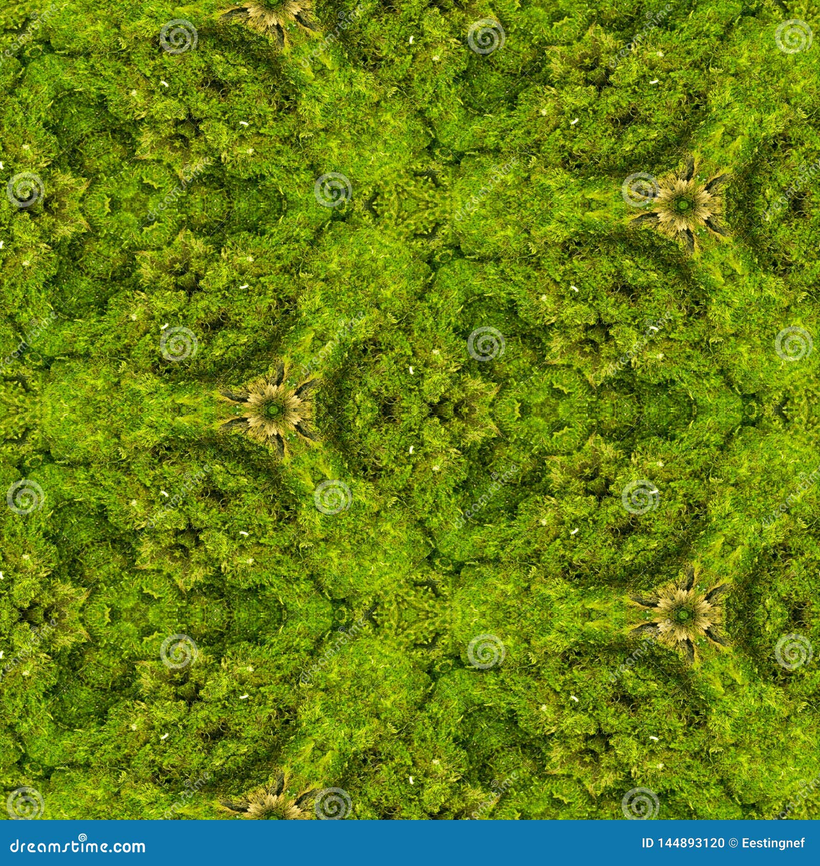 Abstract Decorative Green Moss Background. Seamless Pattern Stock Photo ...