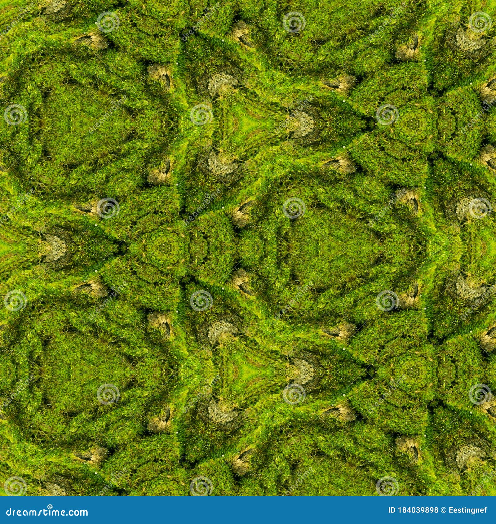Abstract Decorative Green Moss Background. Seamless Pattern Stock Photo ...