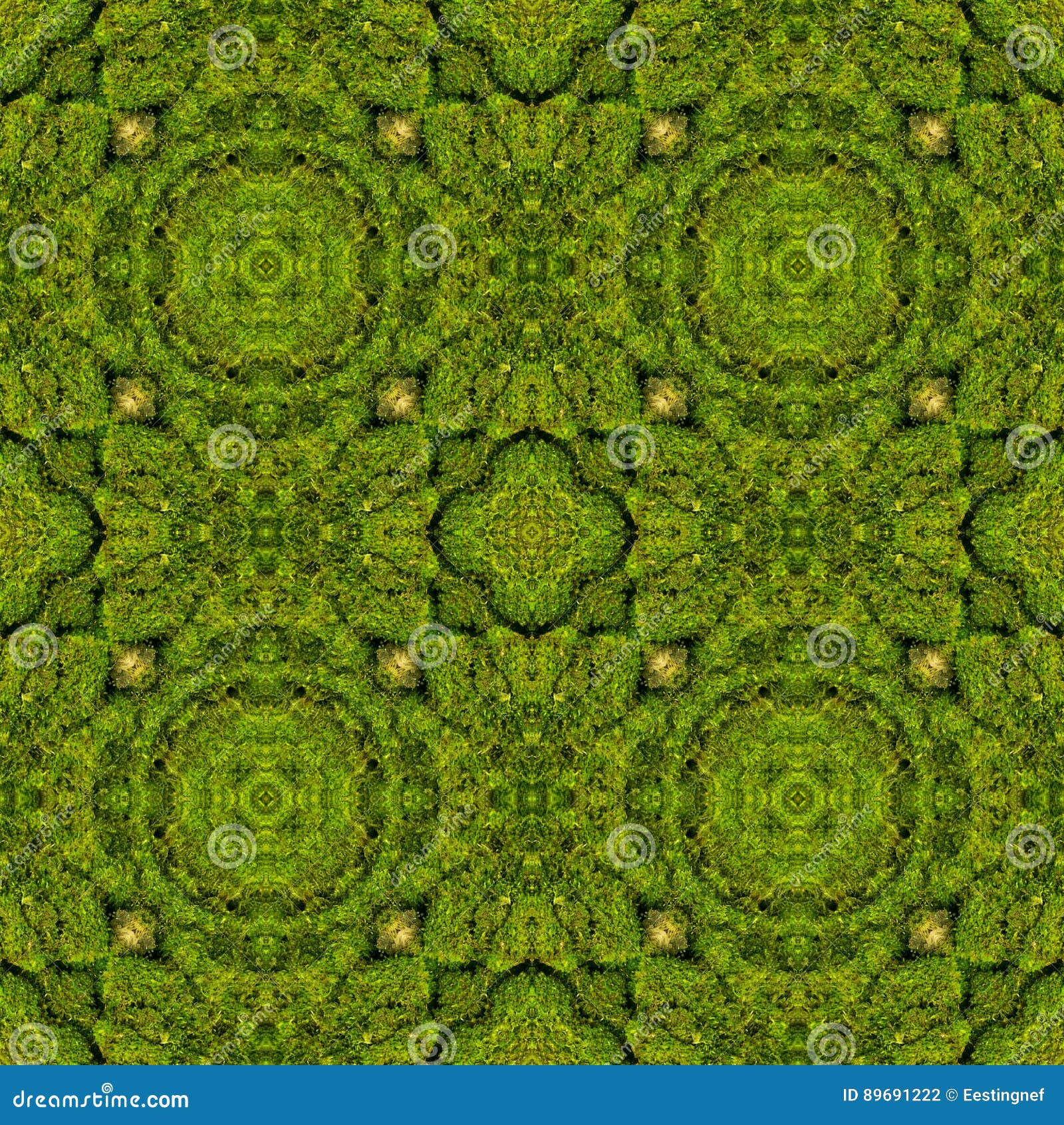 Abstract Decorative Green Moss Background. Seamless Pattern Stock ...