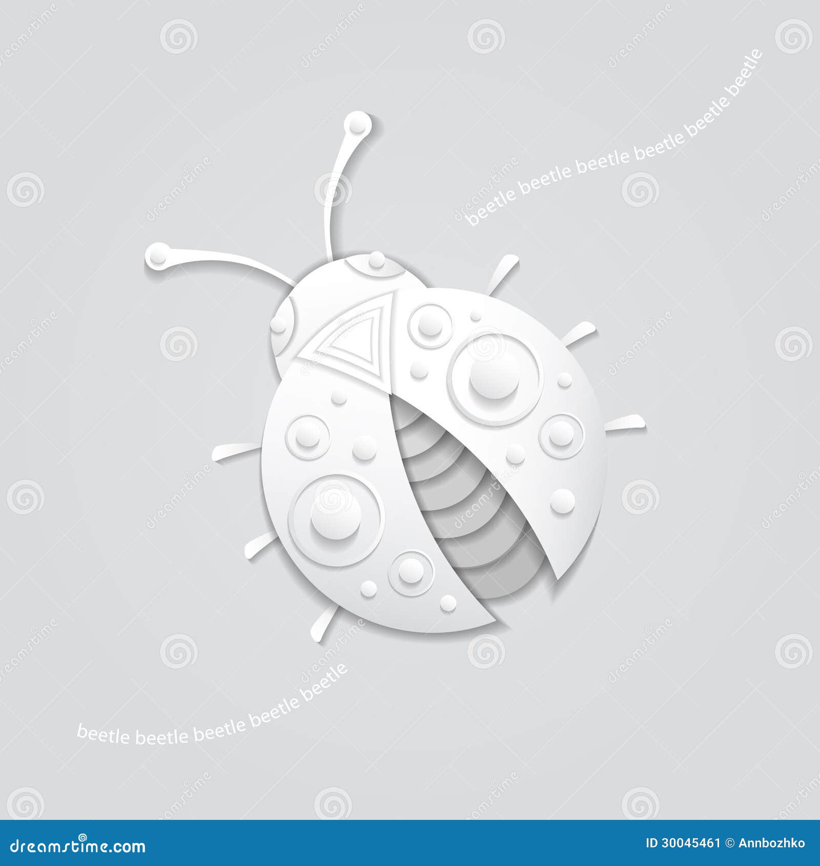 The Structure Of The Beetle. Vector Diagram | CartoonDealer.com #94977927