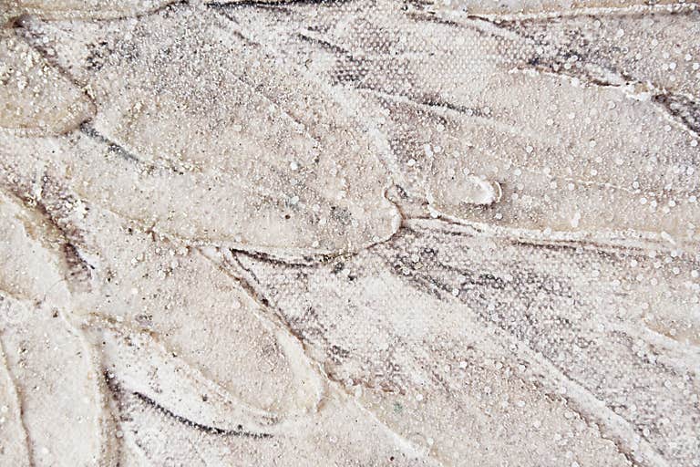 Abstract Decorative Plaster Wings and Feathers with Ornate for ...