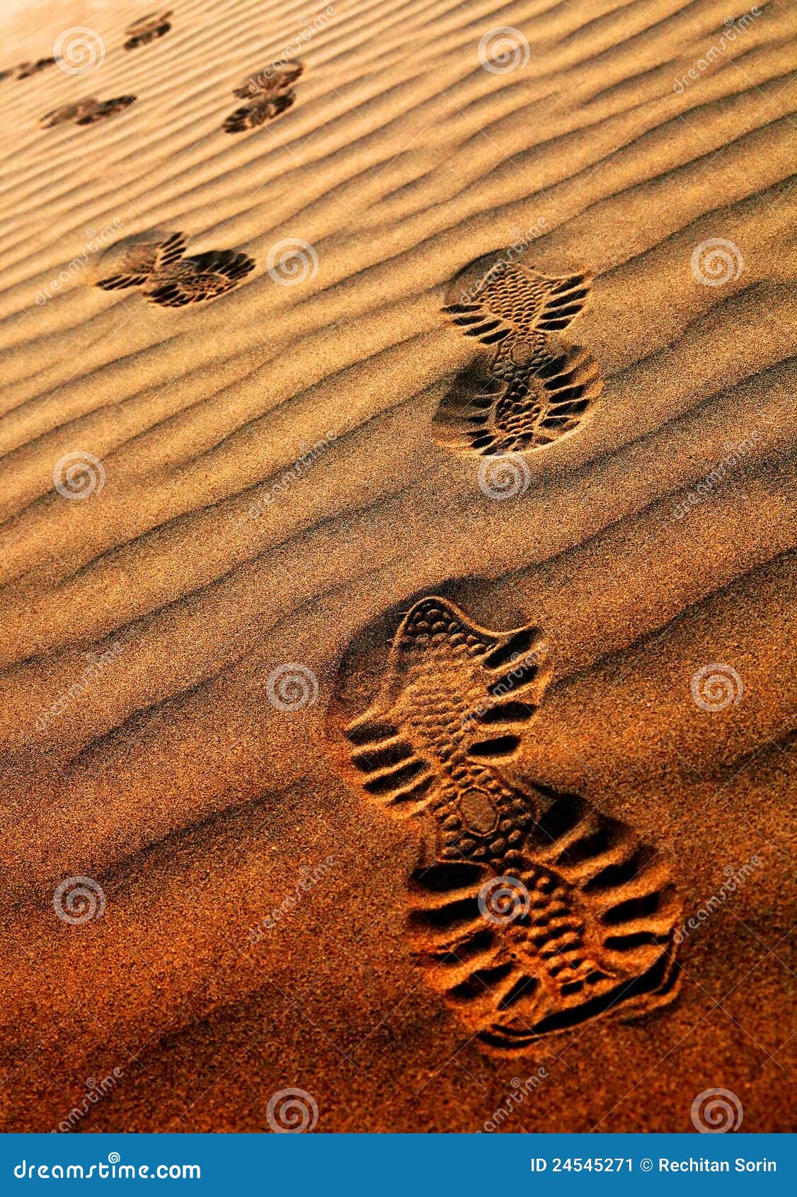 Abstract desert pattern stock image. Image of idyllic - 24545271