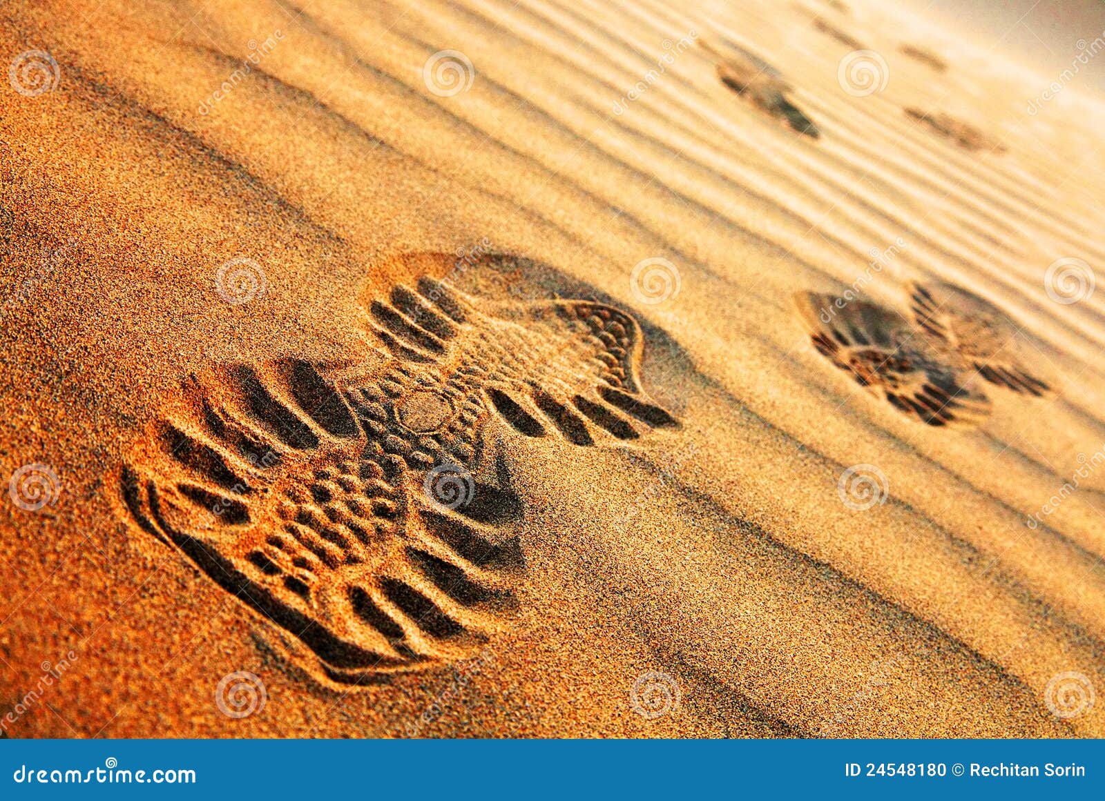 Abstract desert pattern stock photo. Image of pattern - 24548180