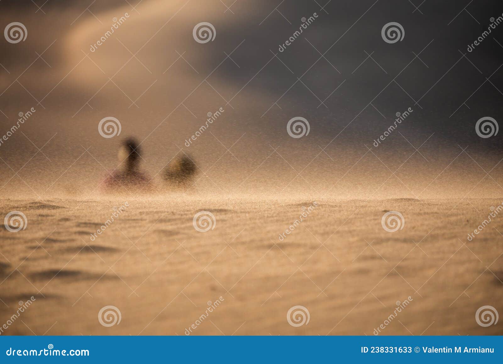 Abstract Desert Sand Dunes With Deep Shadows Before Sunset Royalty-Free ...