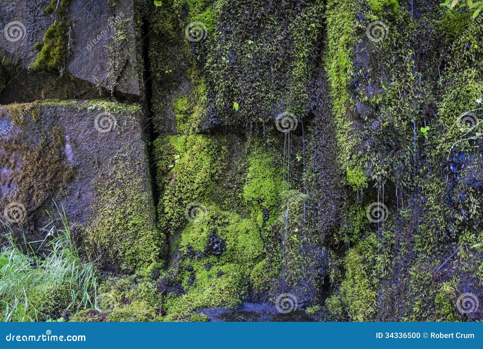 Abstract Design of Rocks with Moss Stock Photo - Image of abstract ...