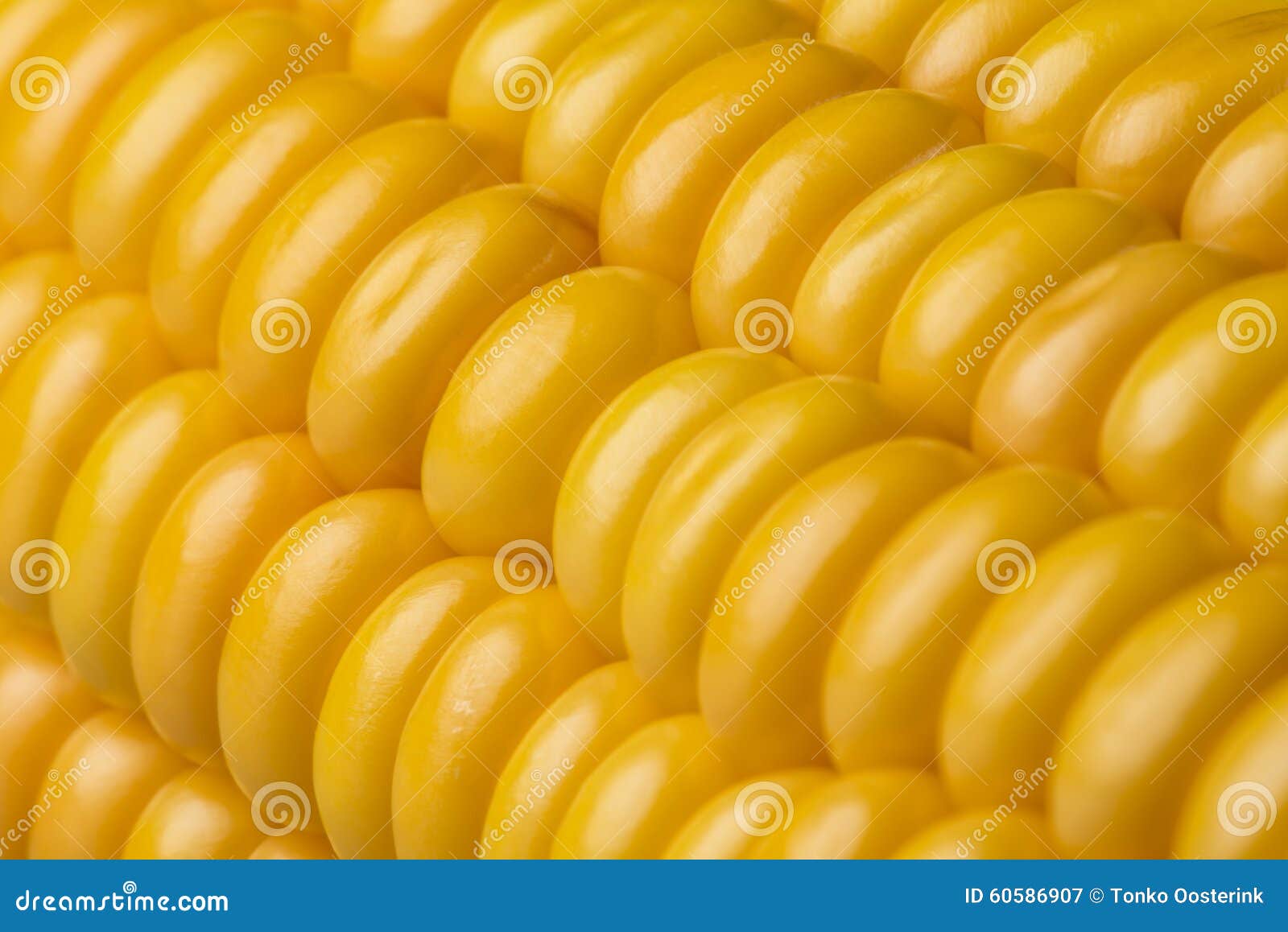 Abstract detail of corn stock image. Image of detail - 60586907
