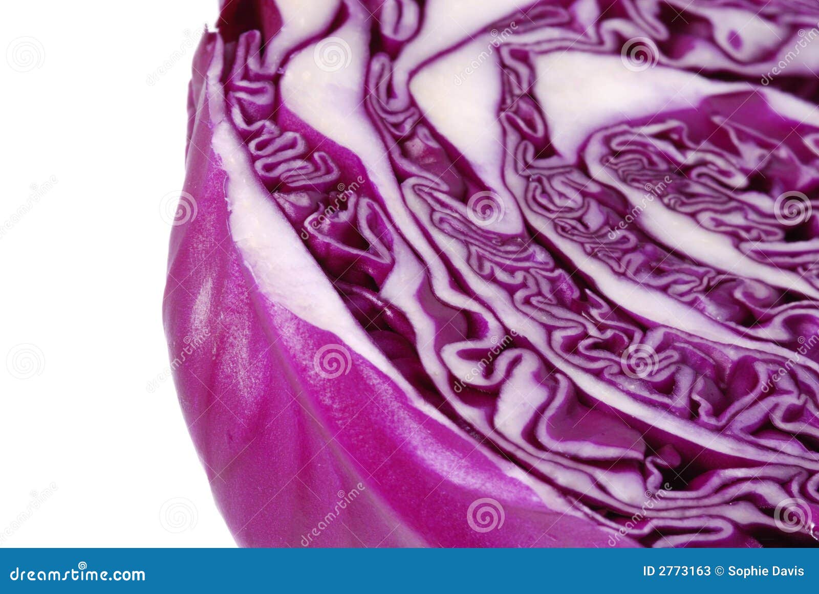 Abstract Detail of Red Cabbage Stock Image - Image of close, dieting ...