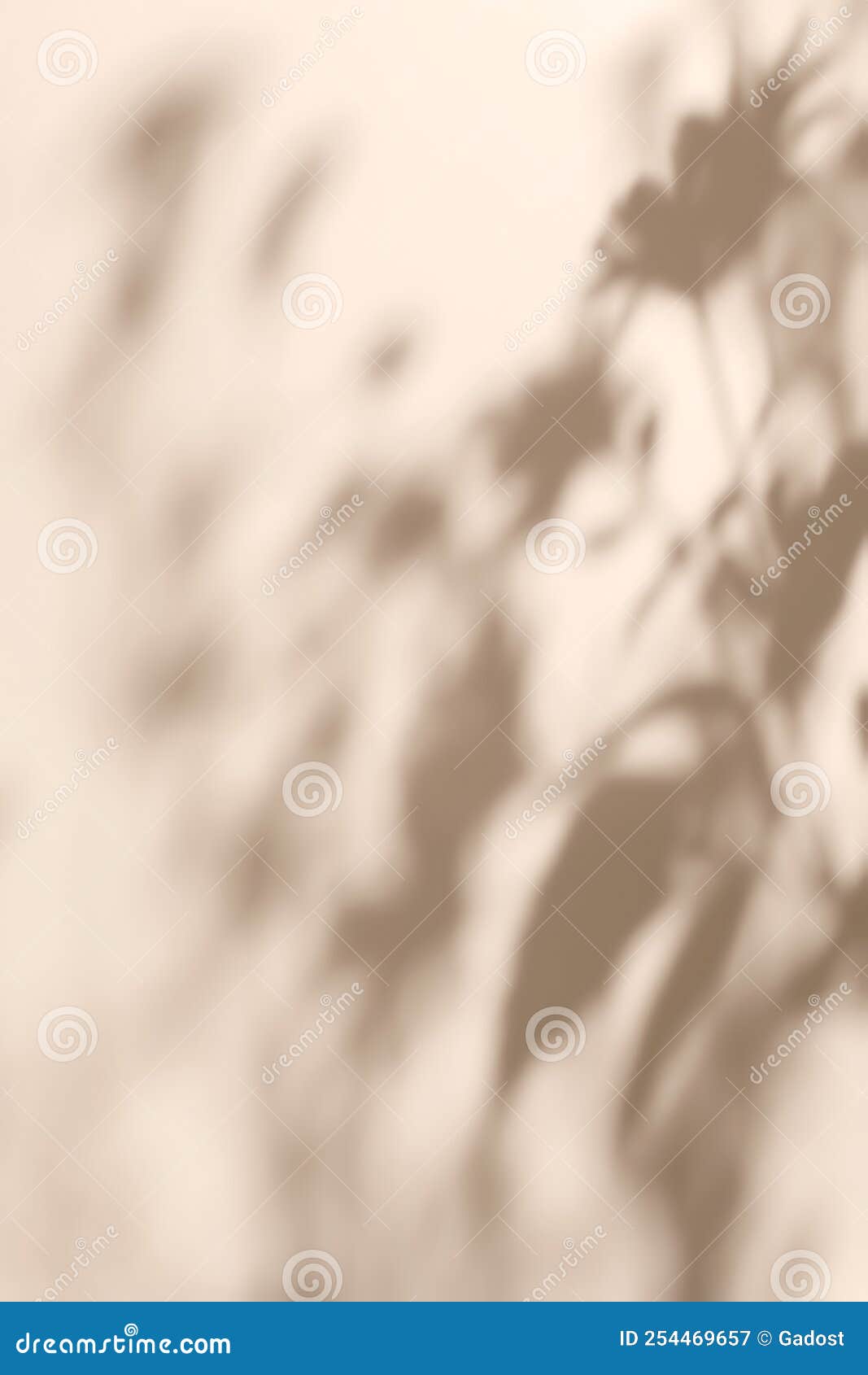 Shadow of Plants on Solid Beige Wall Texture Background Stock Image ...